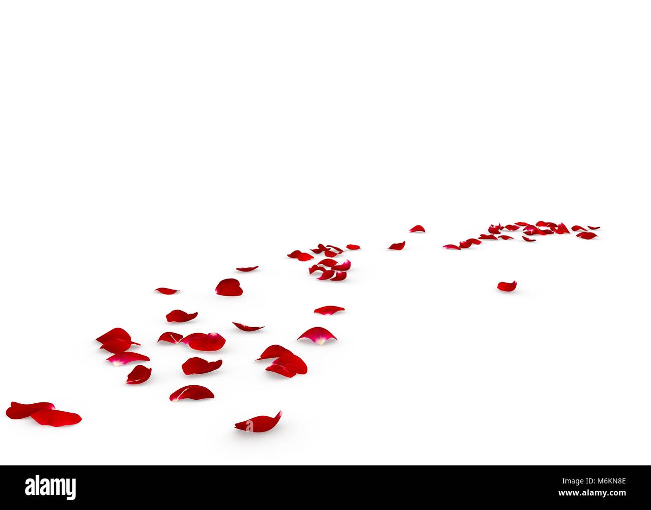 Rose petals fall to the floor. Isolated background Stock Photo - Alamy