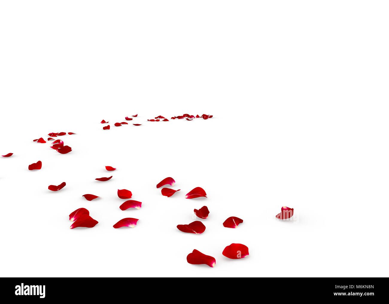 Rose petals fall to the floor. Isolated background Stock Photo - Alamy