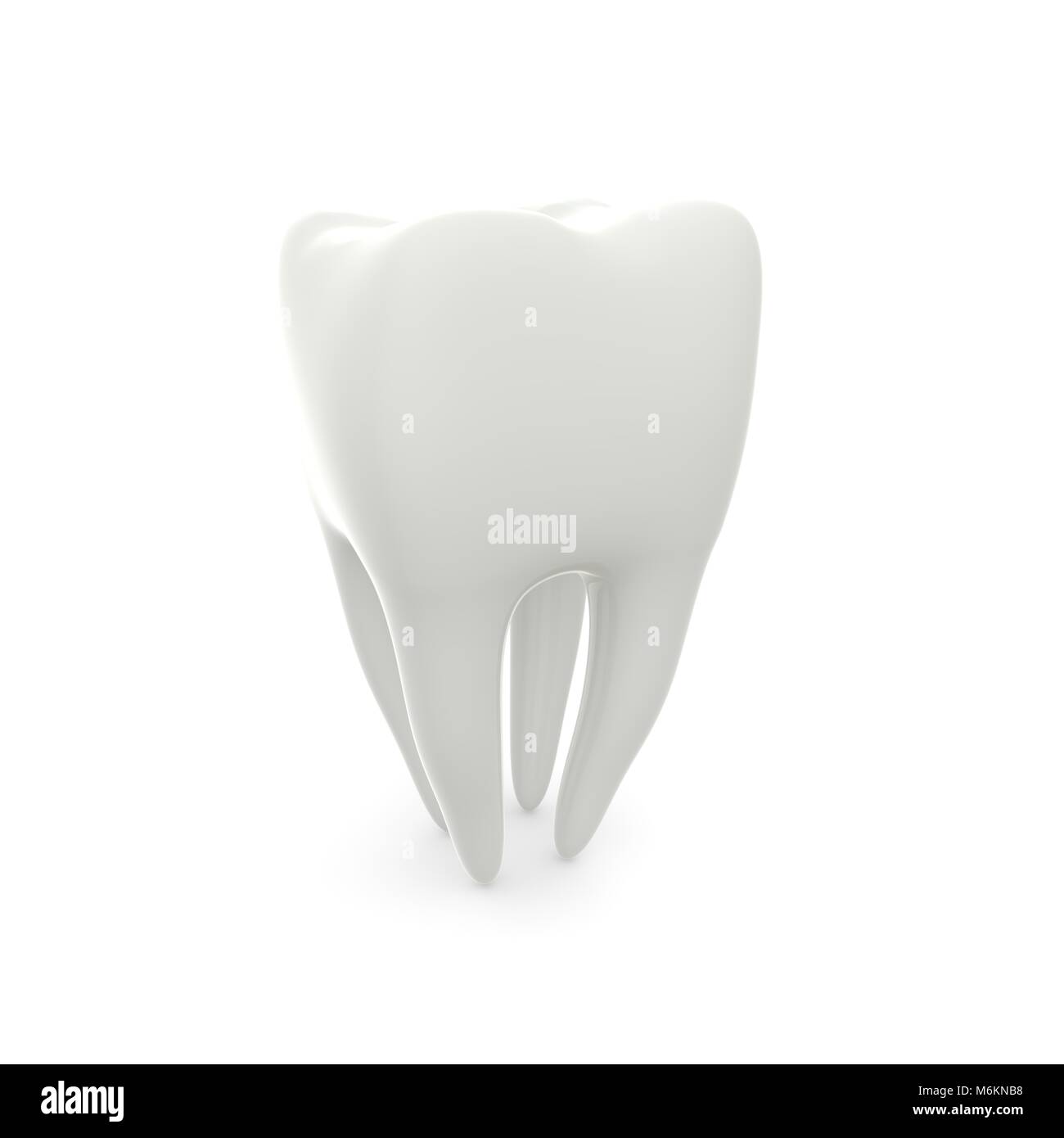 Model of a molar tooth on a white isolated background. 3D illustration ...