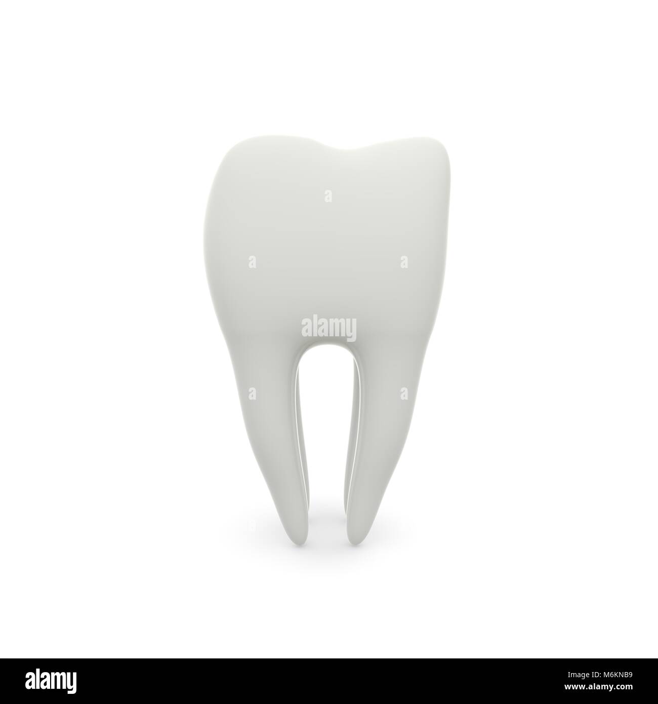 Model of a molar tooth on a white isolated background. 3D illustration ...