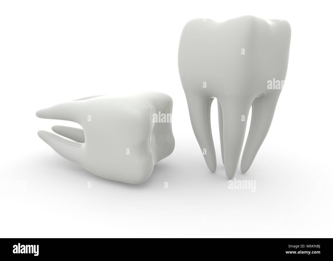 Model of a molar tooth on a white isolated background. 3D illustration ...