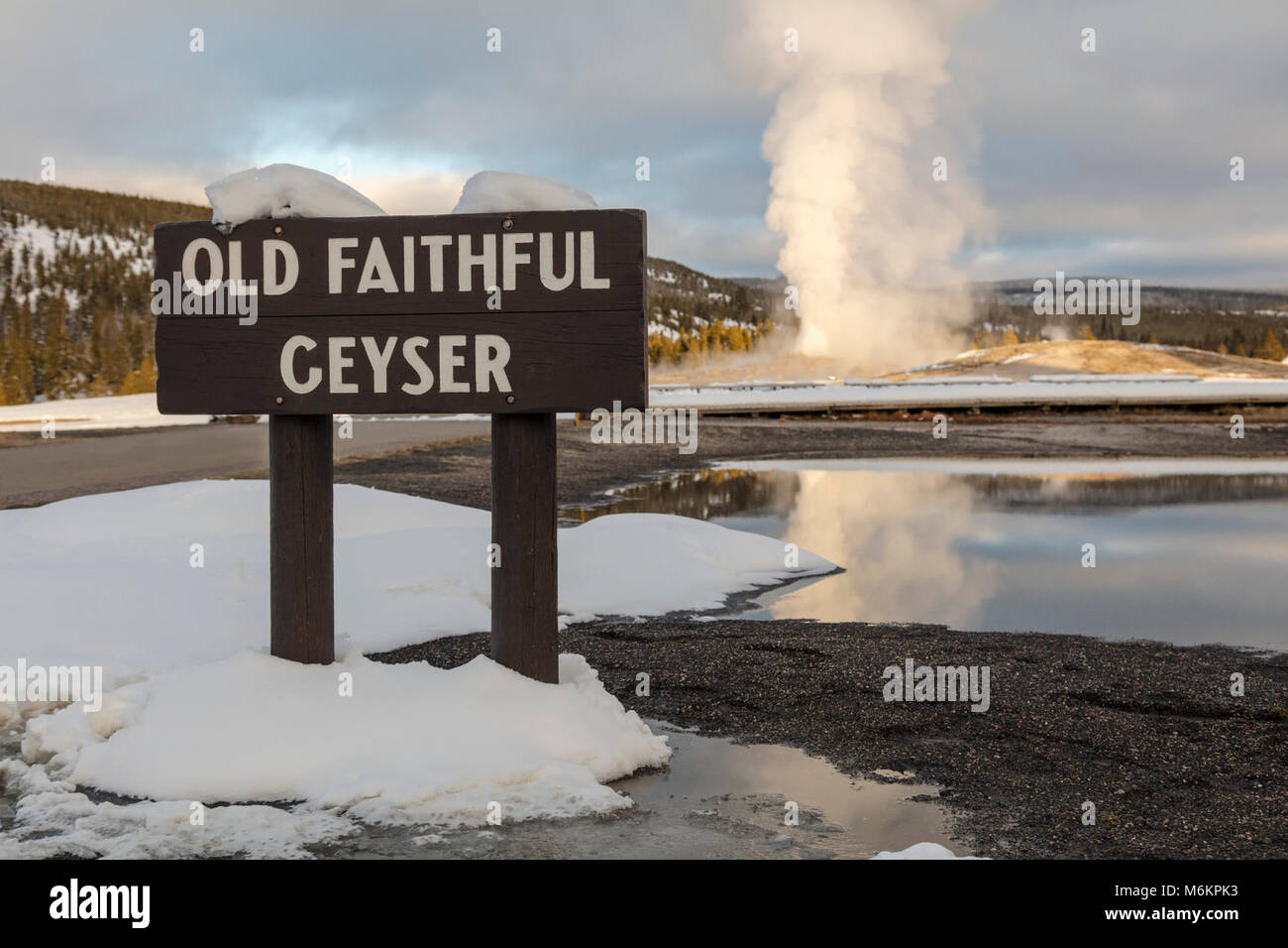 Old Faithful eruption and sign Stock Photo - Alamy