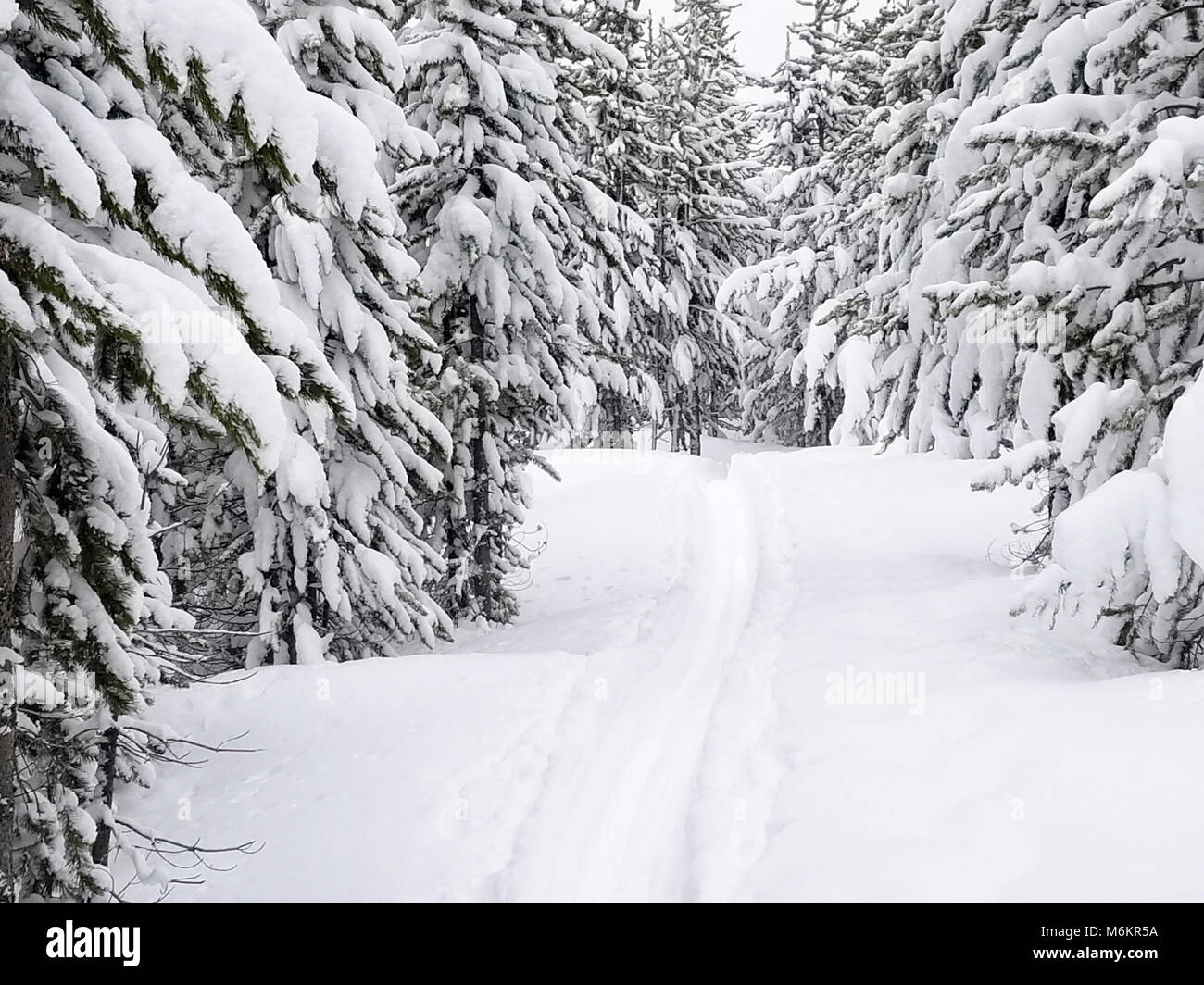 Howard Eaton Trail Stock Photo - Alamy