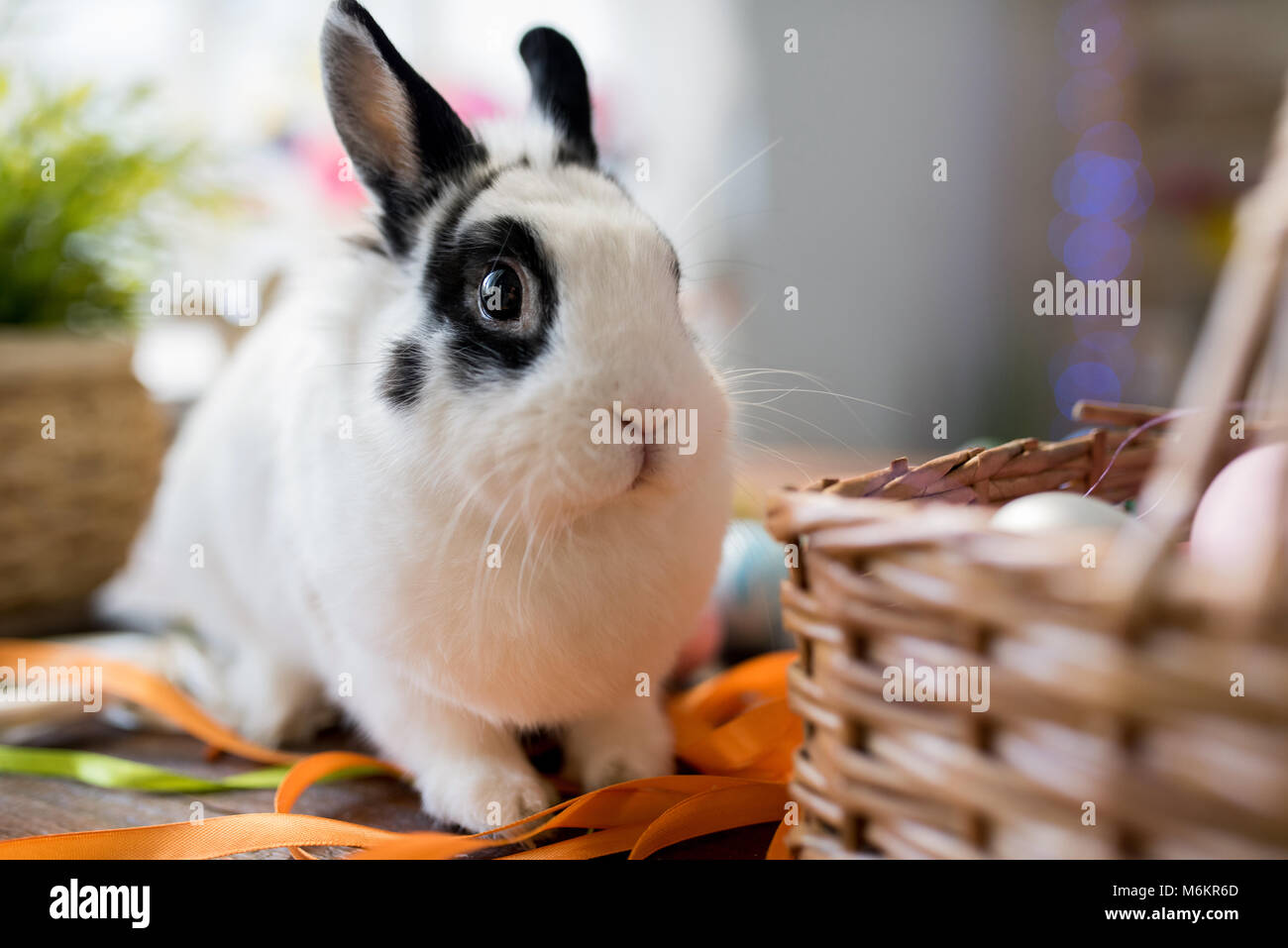 Cute bunny art hi-res stock photography and images - Alamy