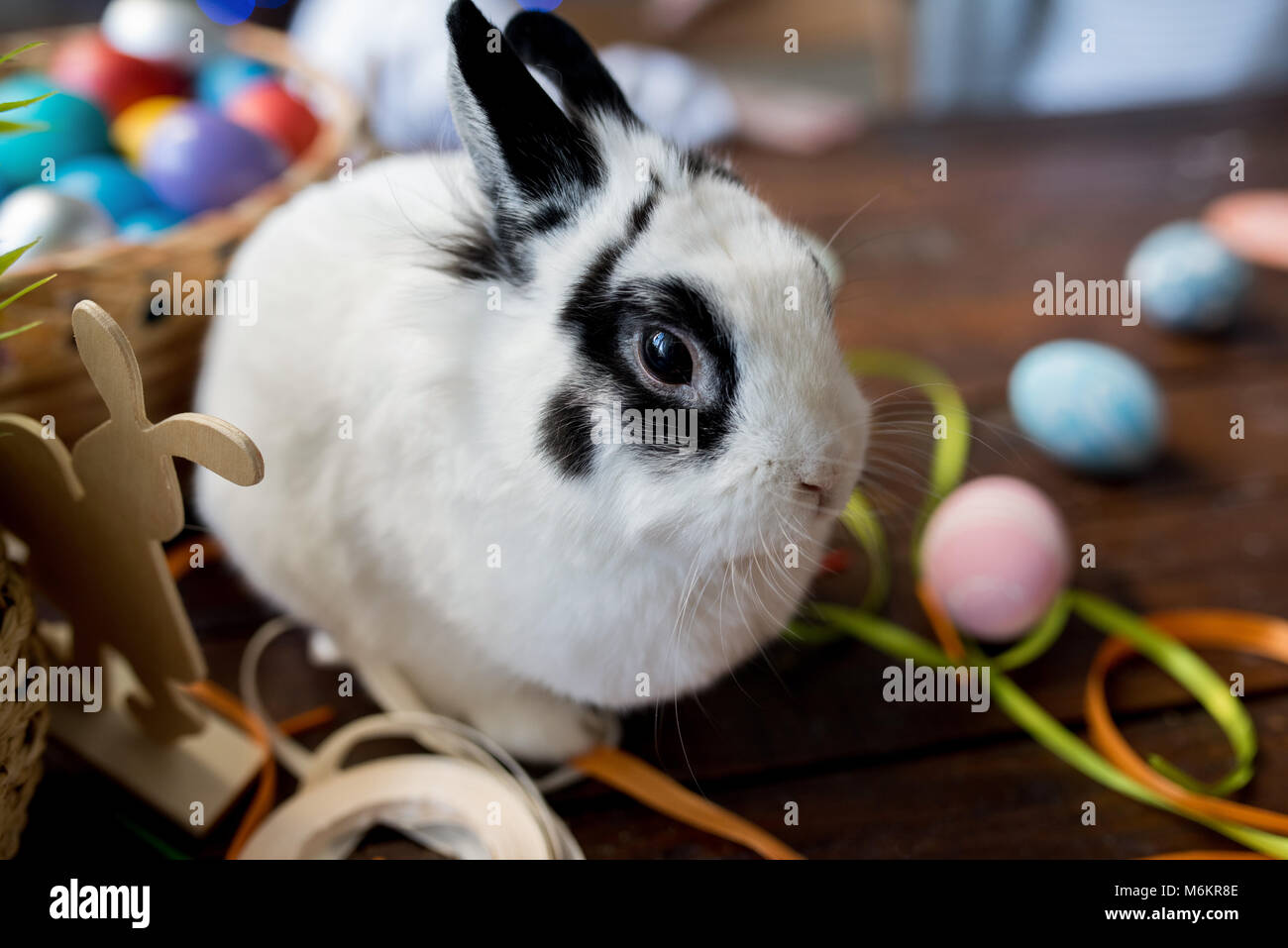 White Bunny on Easter Day Stock Photo - Alamy