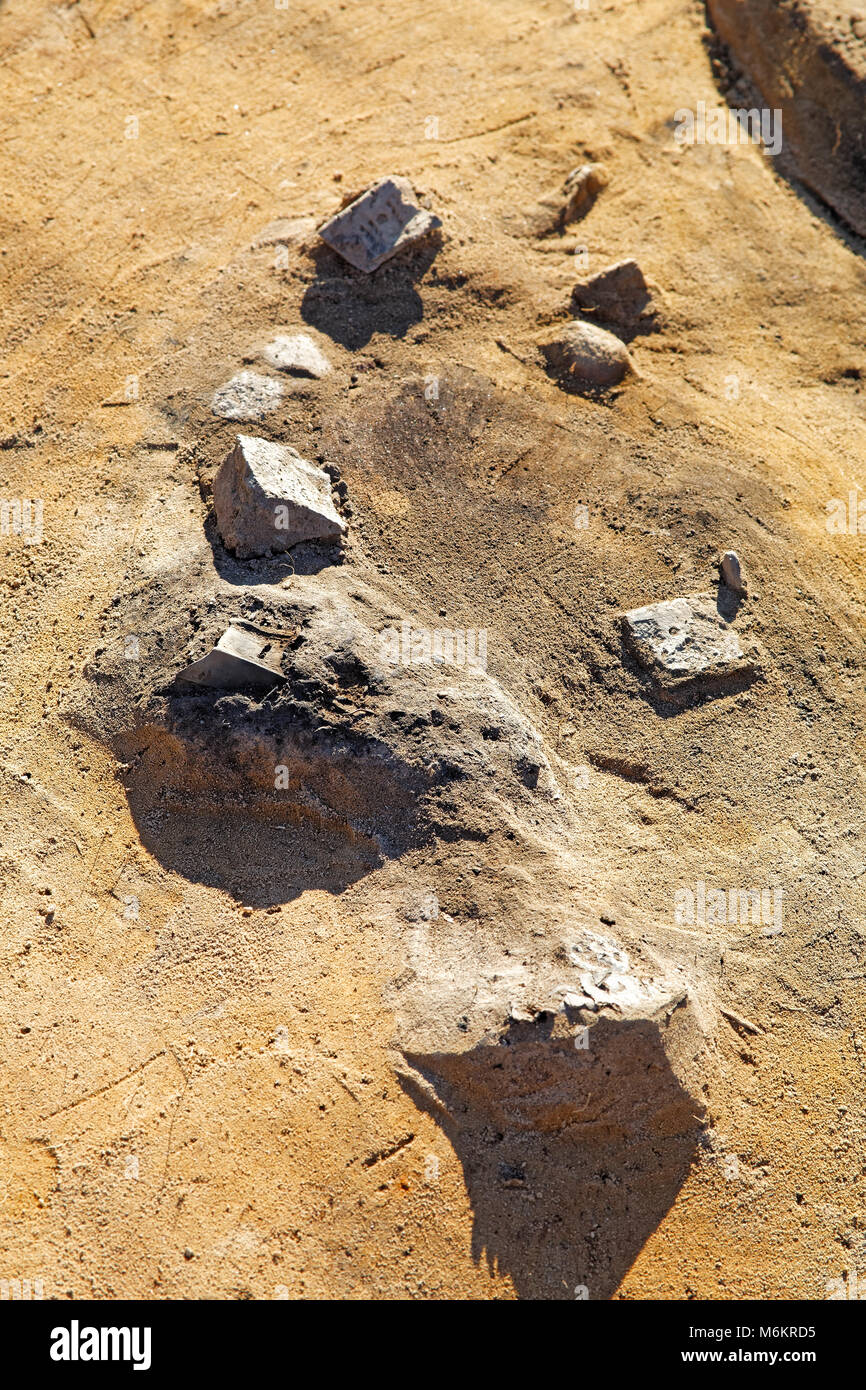 Archaeological finds of the early Iron Age on the surface of the ...