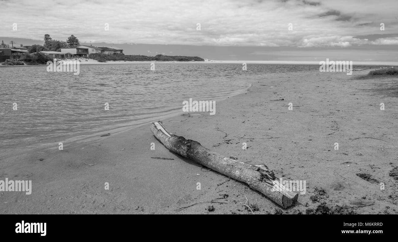 Monochrome of Avoca Lake and Avoca Beach with tree log. Avoca Beach ...