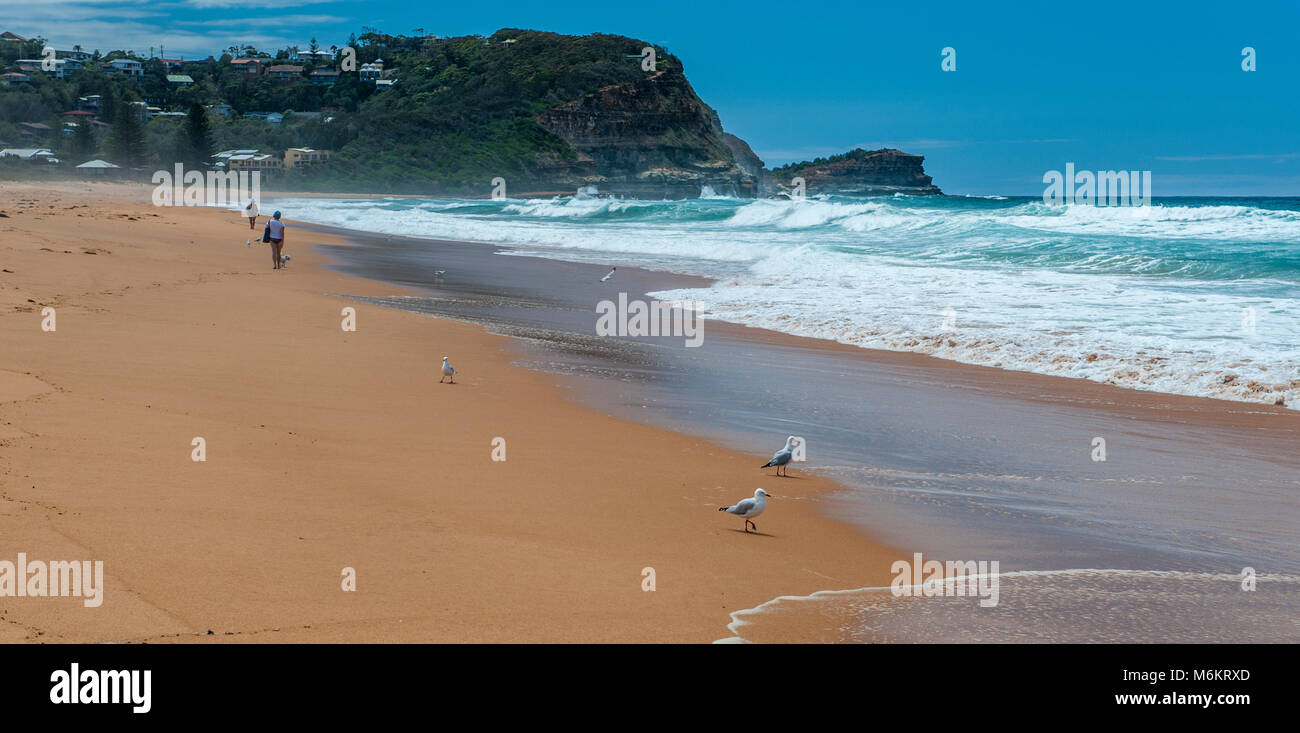 Beachgoers beachgoer hi-res stock photography and images - Alamy