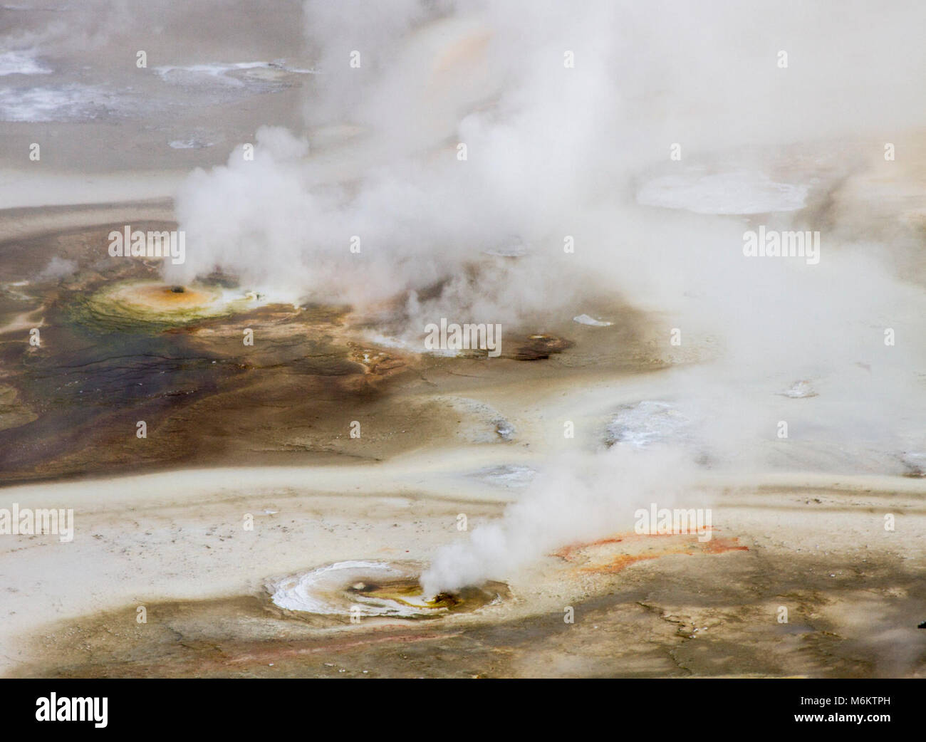Thermal features in Porcelain Basin at Norris Geyser Basin Stock Photo ...