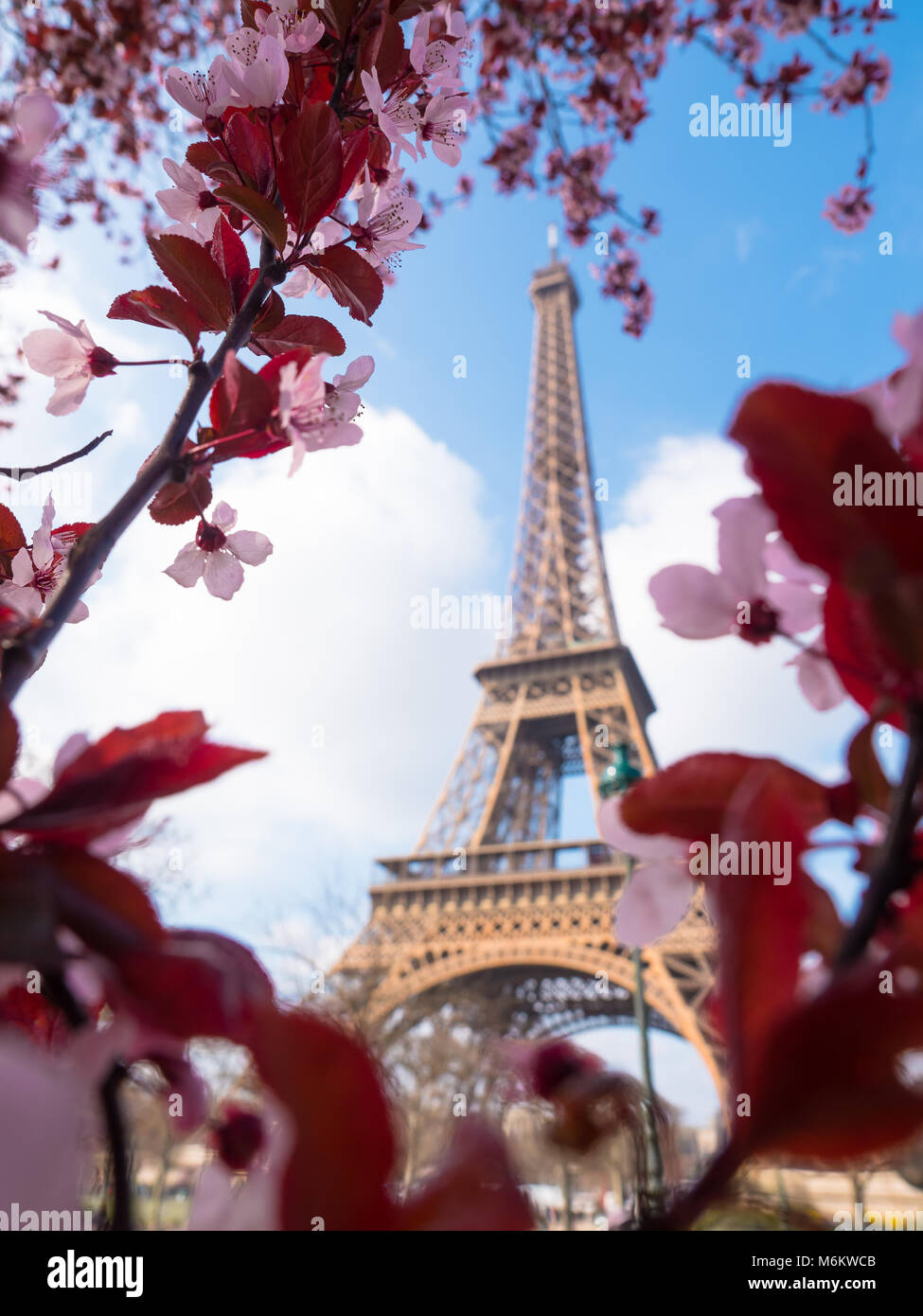 Beautiful spring time in Paris Stock Photo - Alamy