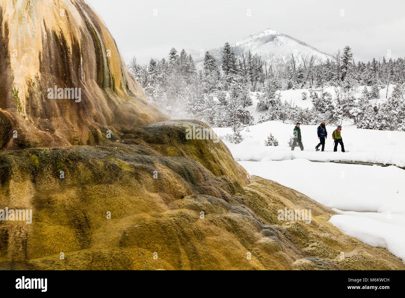 Snowshoeing by Orange Spring Mound, Mammoth Hot Springs Stock Photo - Alamy