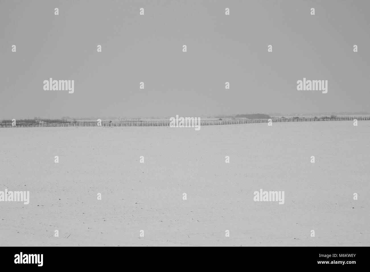 Snowy Plain Landscape Stock Photo - Alamy