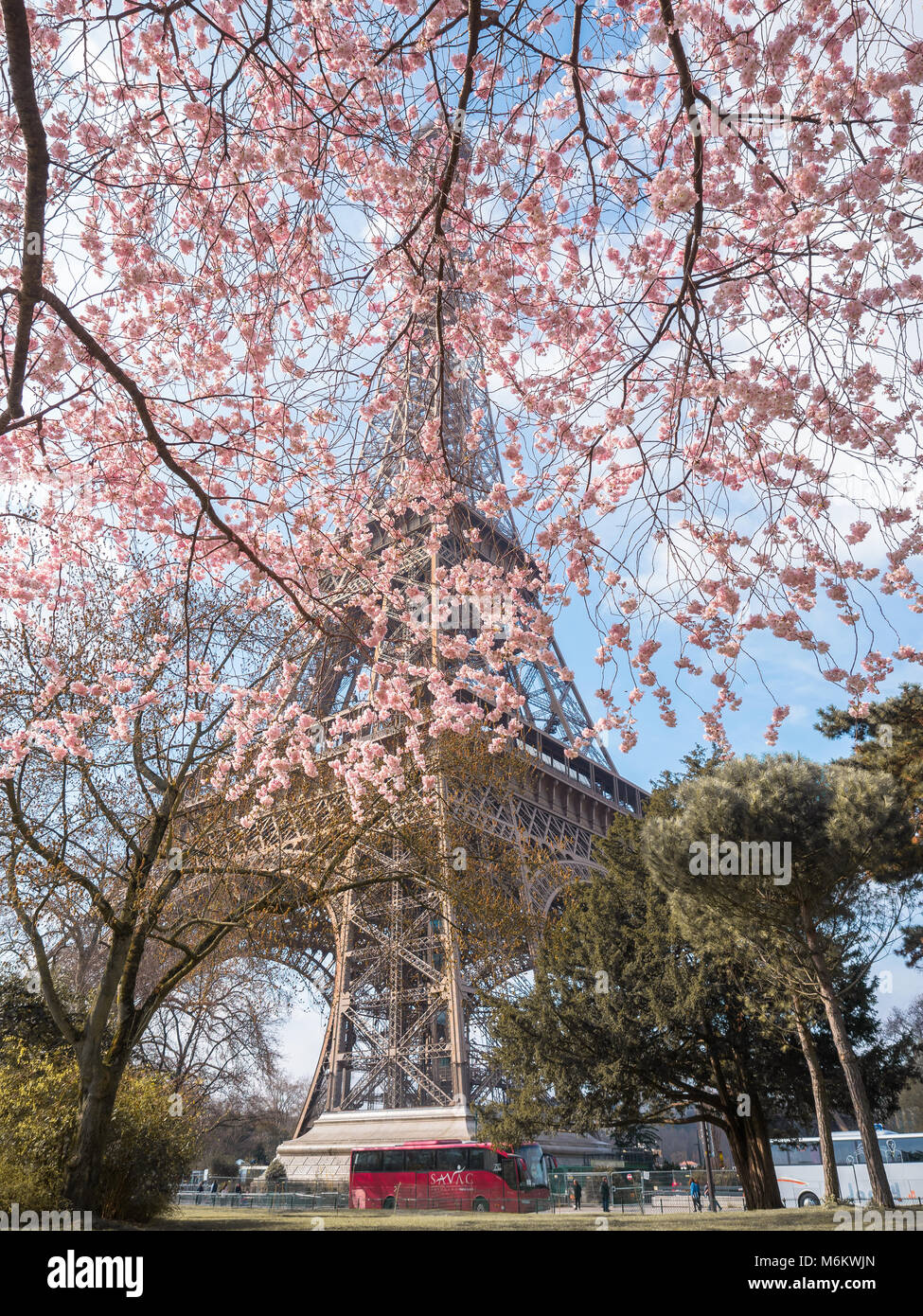 Beautiful spring time in Paris Stock Photo - Alamy