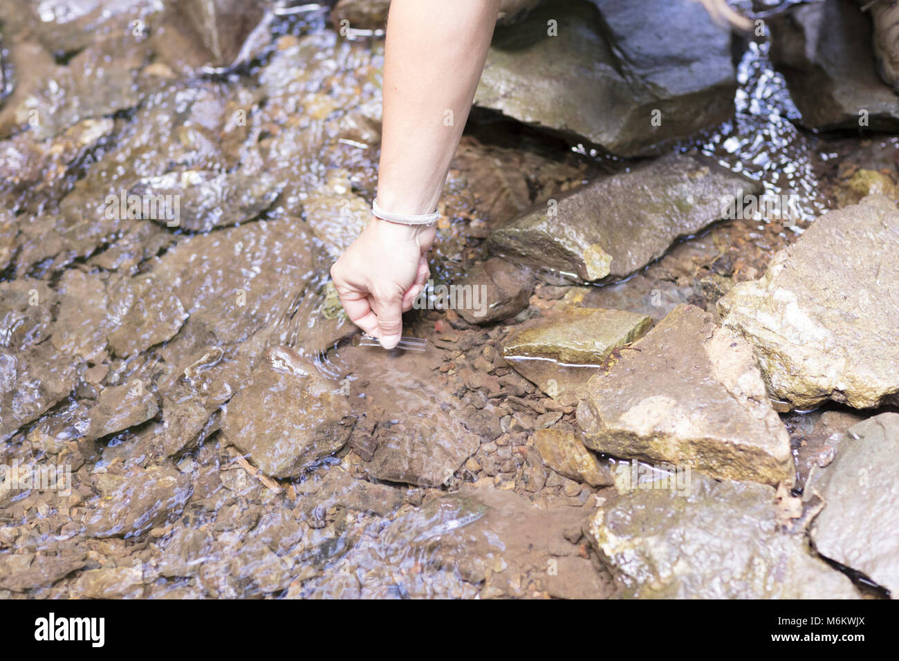 Water Quality Testing Activity Stock Photo - Alamy