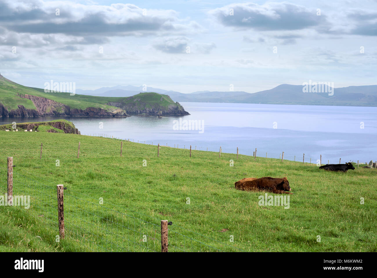 Dingle landscape hi-res stock photography and images - Alamy