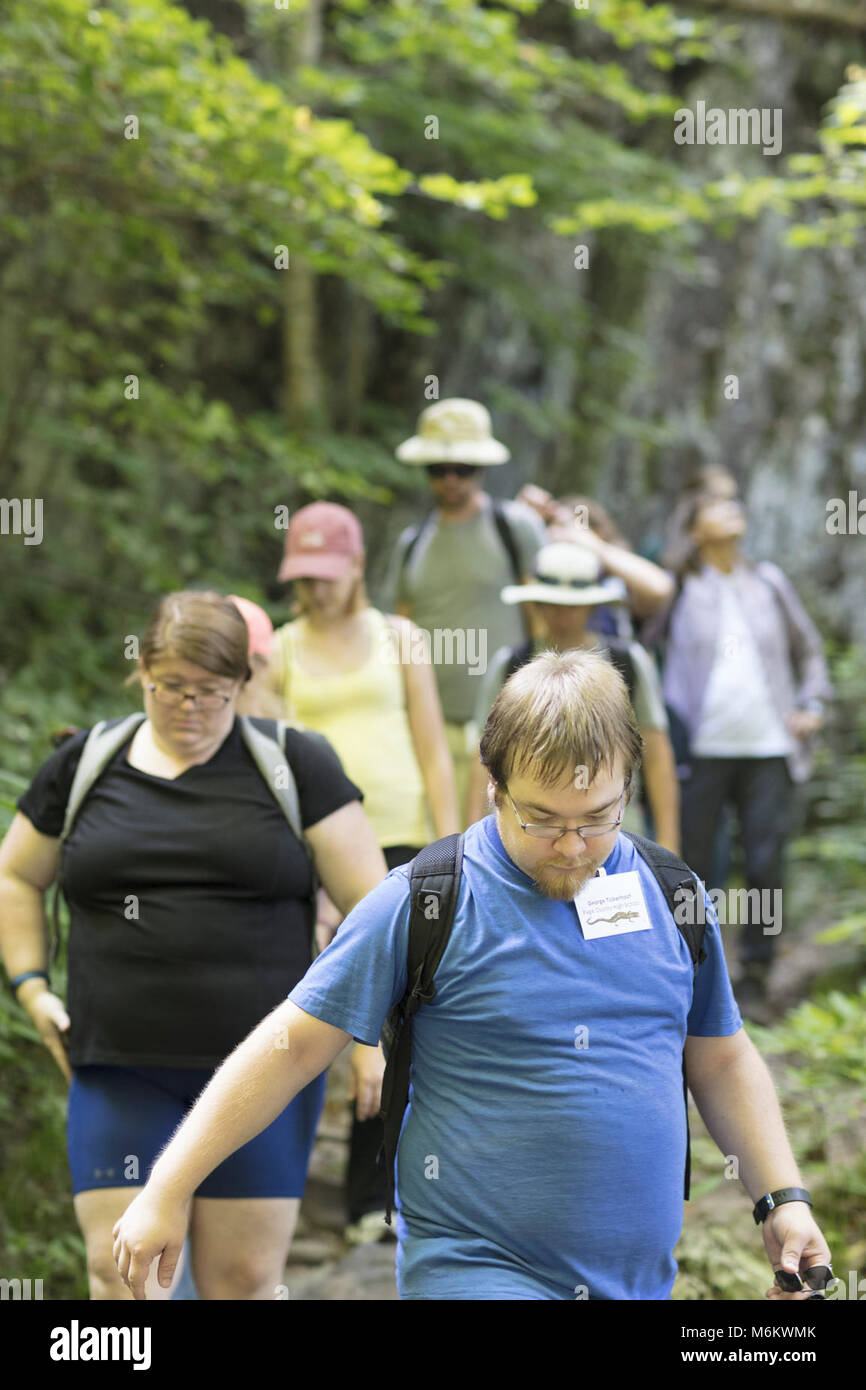 Water Quality Testing Activity Stock Photo - Alamy