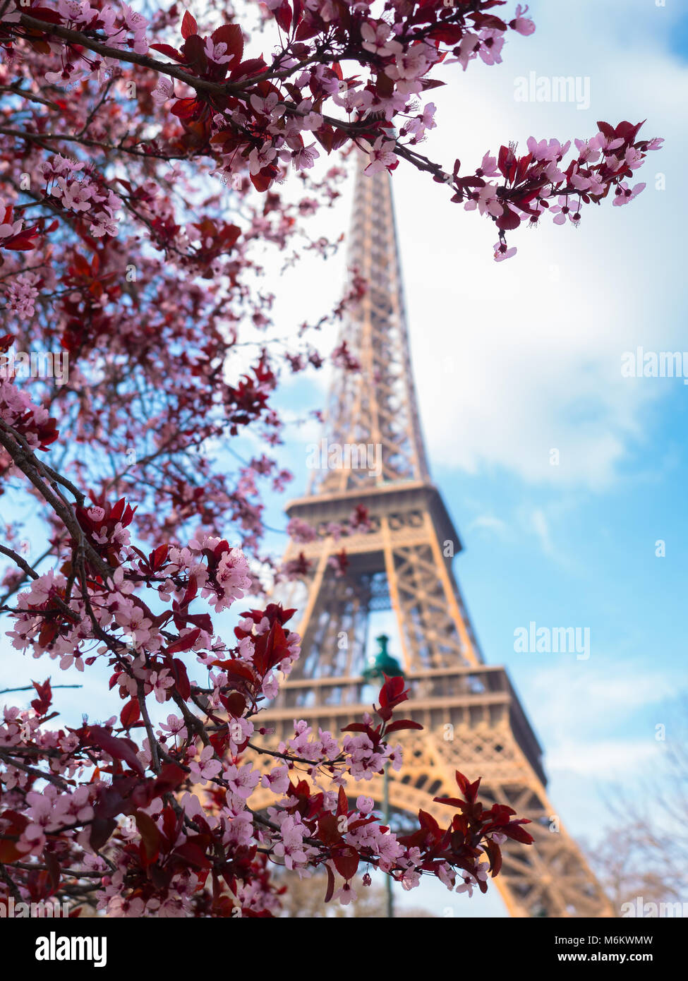 Paris in spring eiffel tower hi-res stock photography and images - Alamy