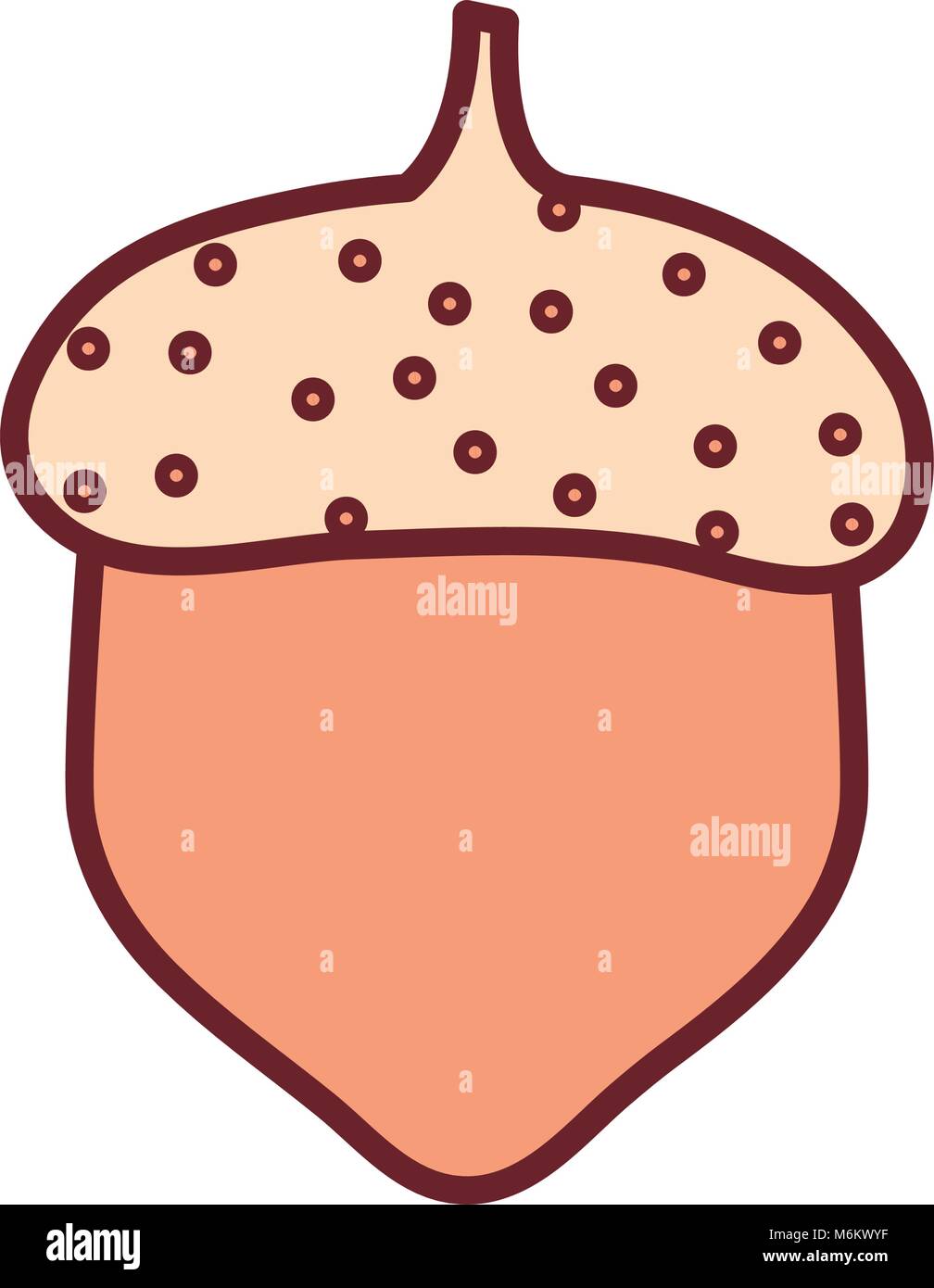 flat line colored acorn over white background vector illustration Stock ...