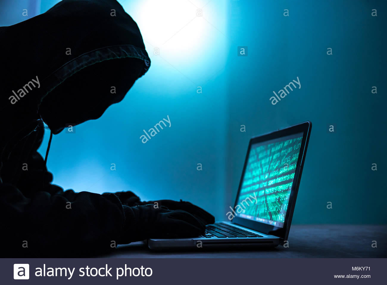 Male Computer Hacker Stock Photos & Male Computer Hacker Stock Images ...