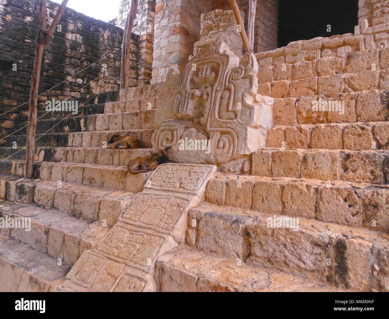 Mayan glyphs at the Acropolis. Mayan archaeological site of Ek Balam ...