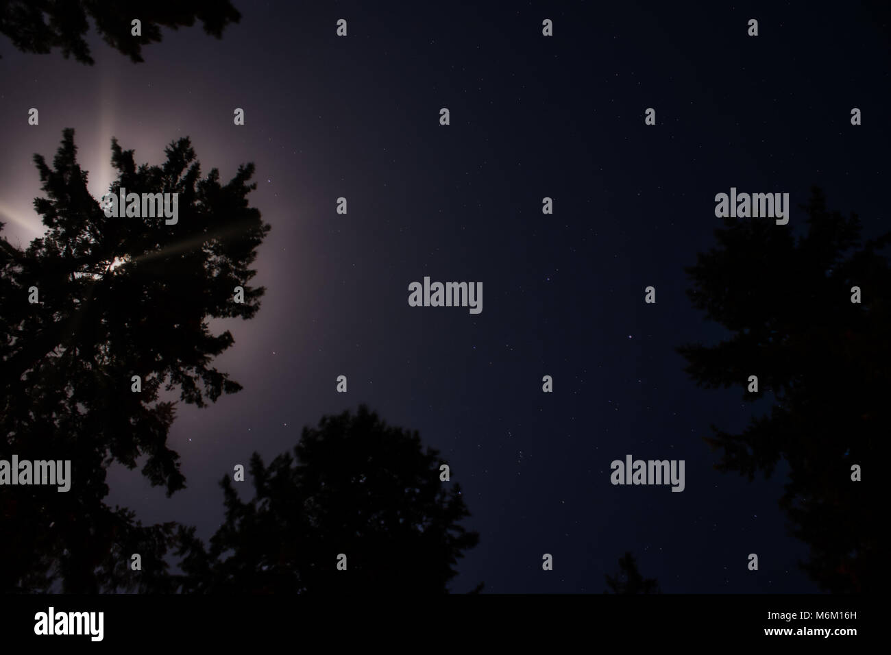 Full moon behind winter trees hi-res stock photography and images - Alamy