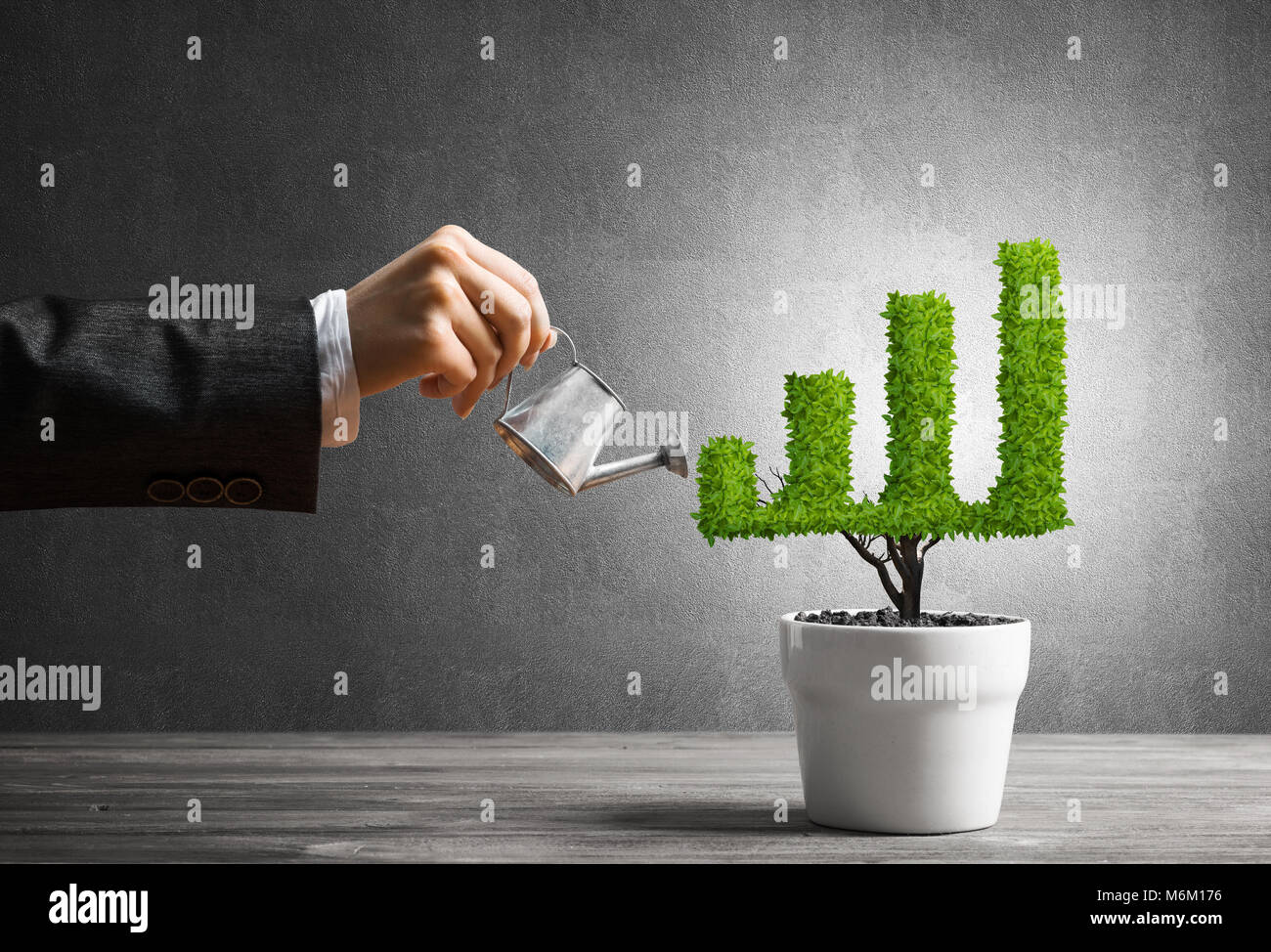 Concept of investment income and growth with tree in pot Stock Photo ...
