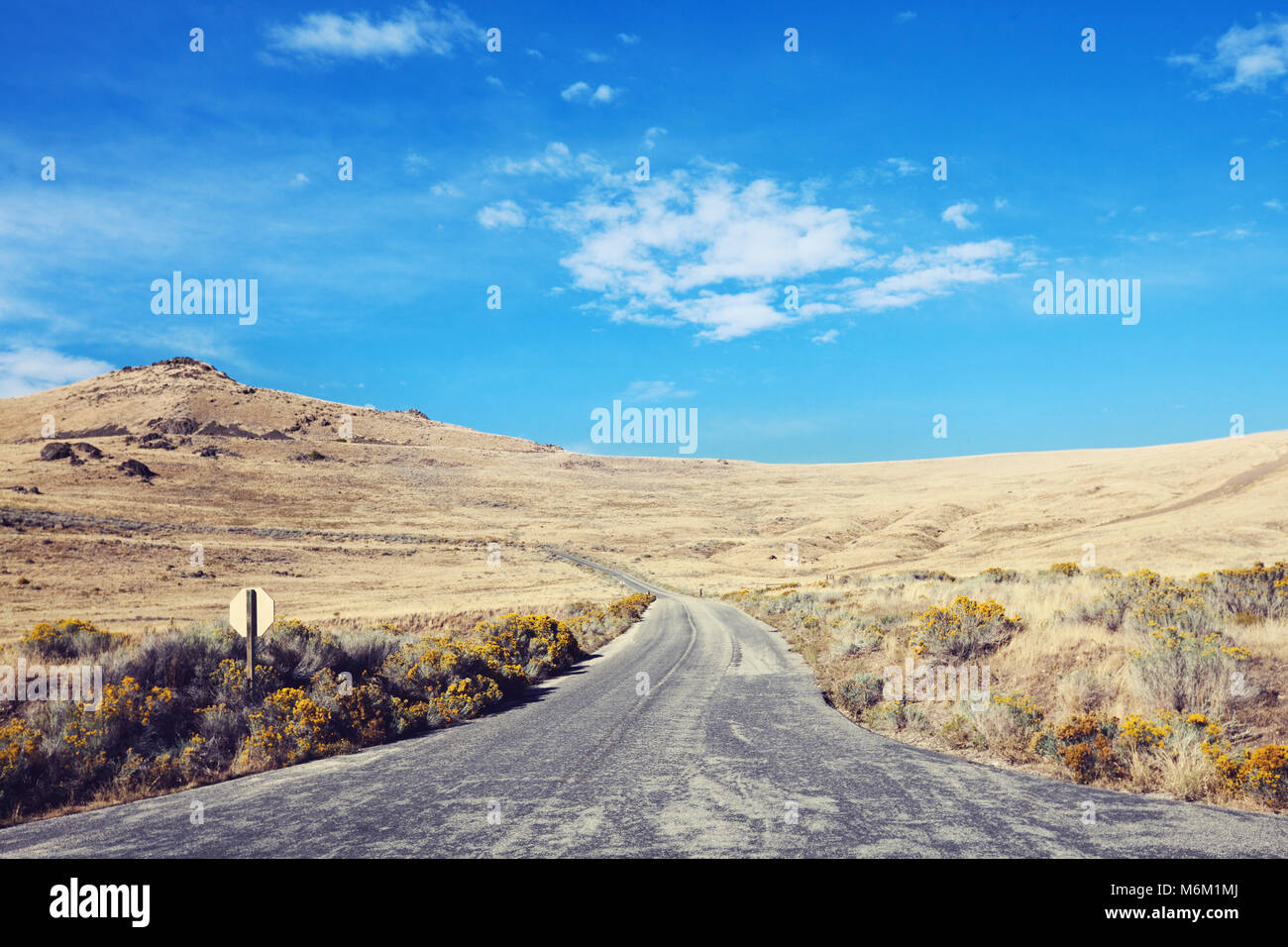 Road in the prairie country Stock Photo - Alamy