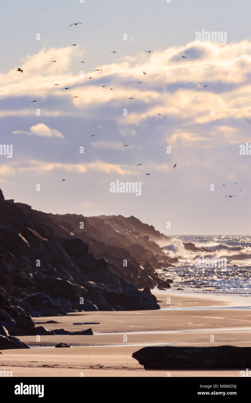 beautiful blue skys over pacific northwest beach Stock Photo - Alamy
