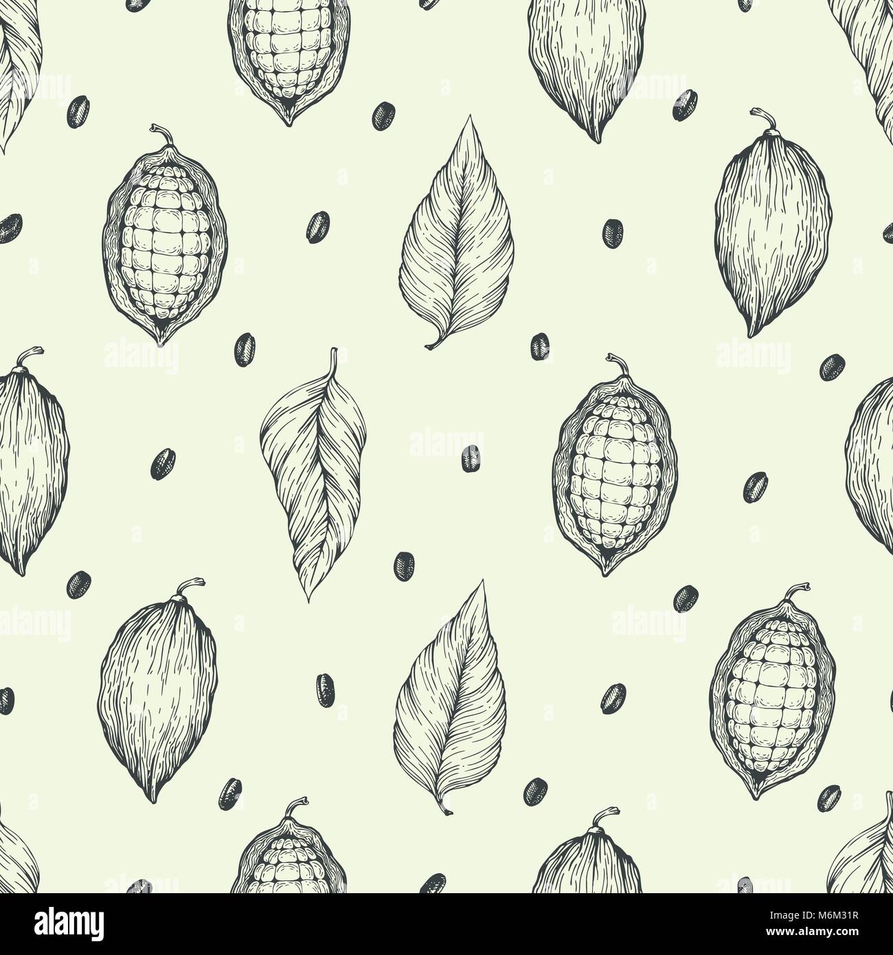 Cocoa beans vector seamless pattern. Engraved retro style illustration ...