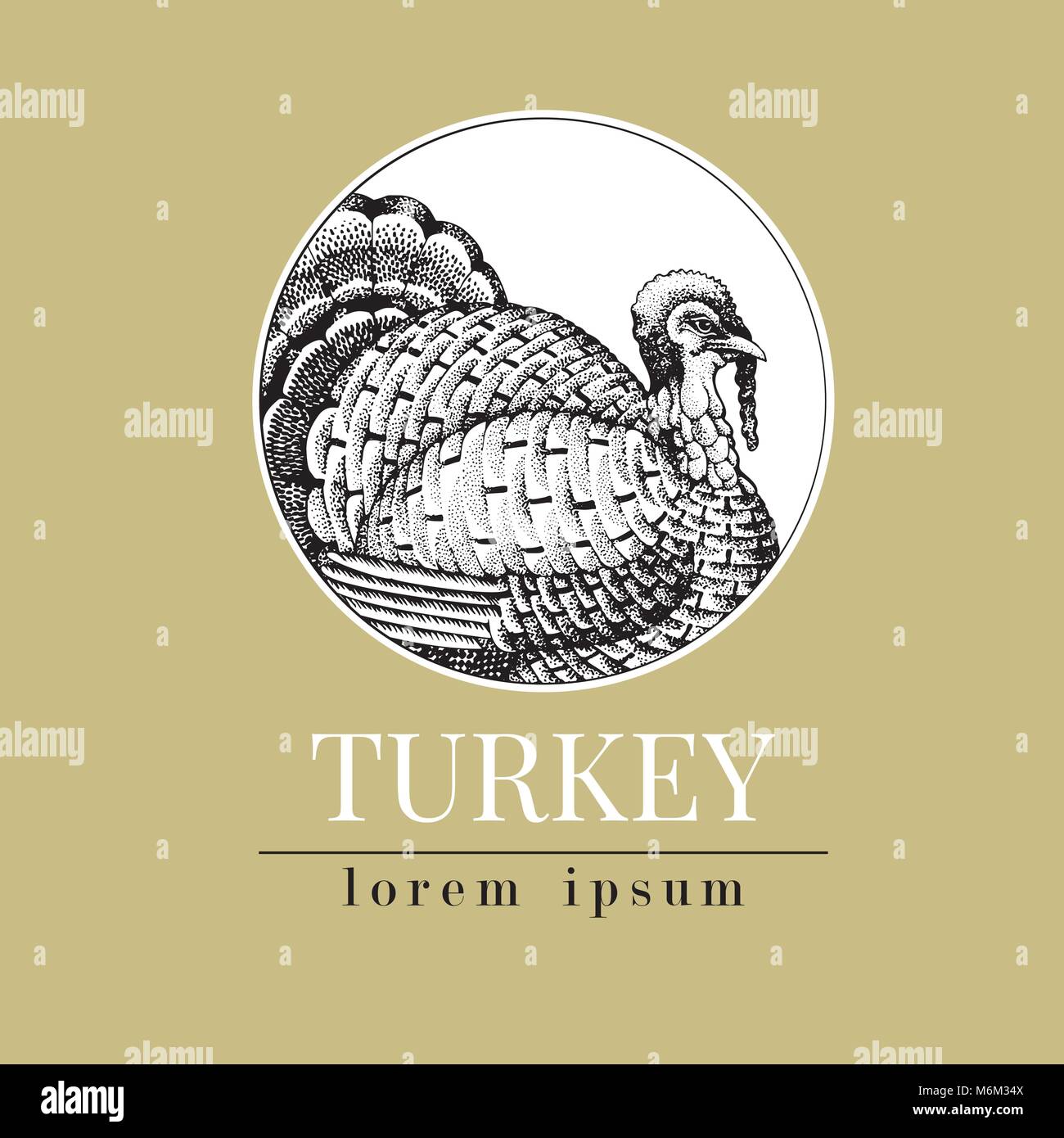 Vector hand drawn turkey illustration. Vintage engraving style. Sketch ...
