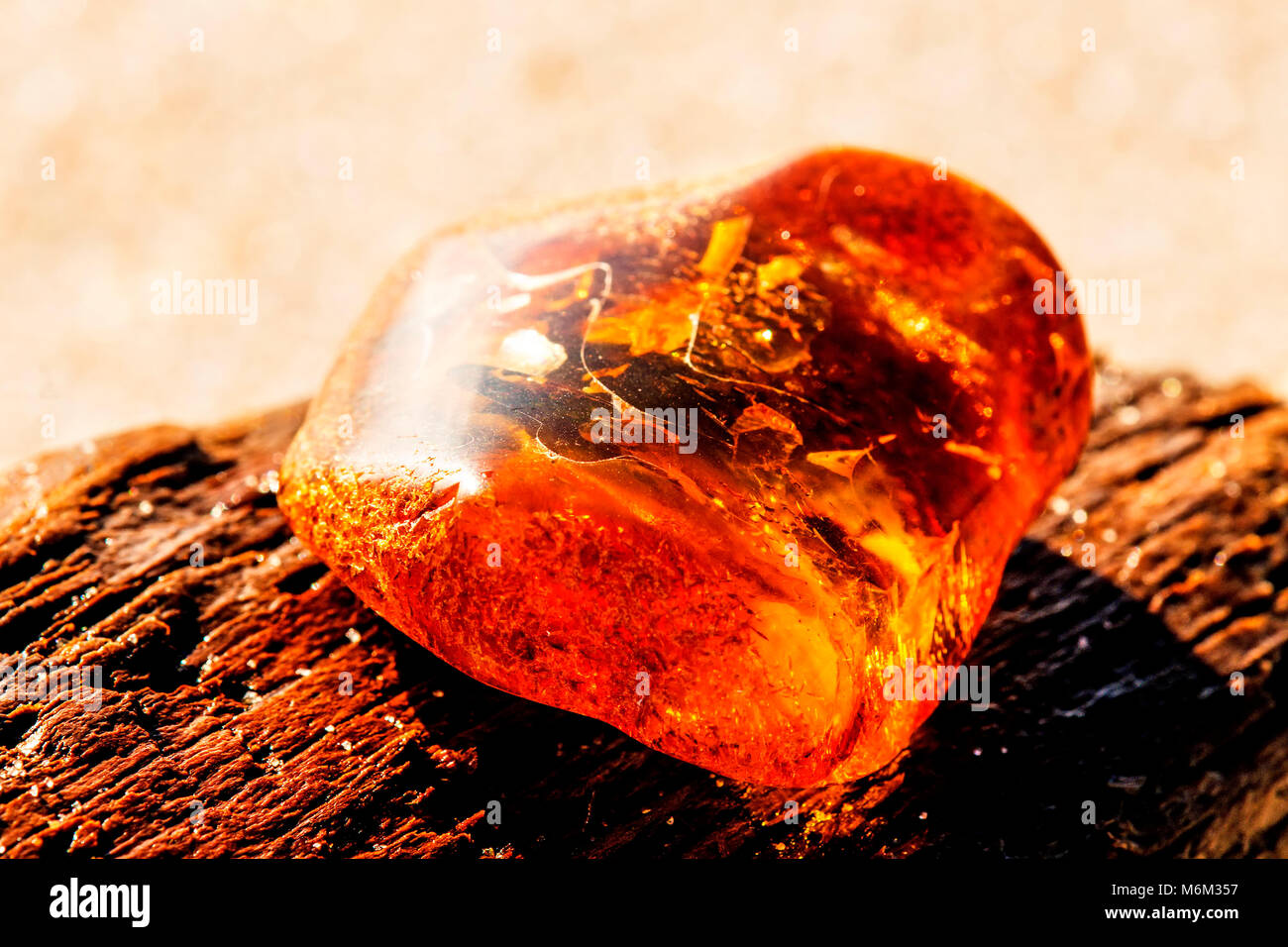 Amber on a beach of the Baltic Sea Stock Photo - Alamy