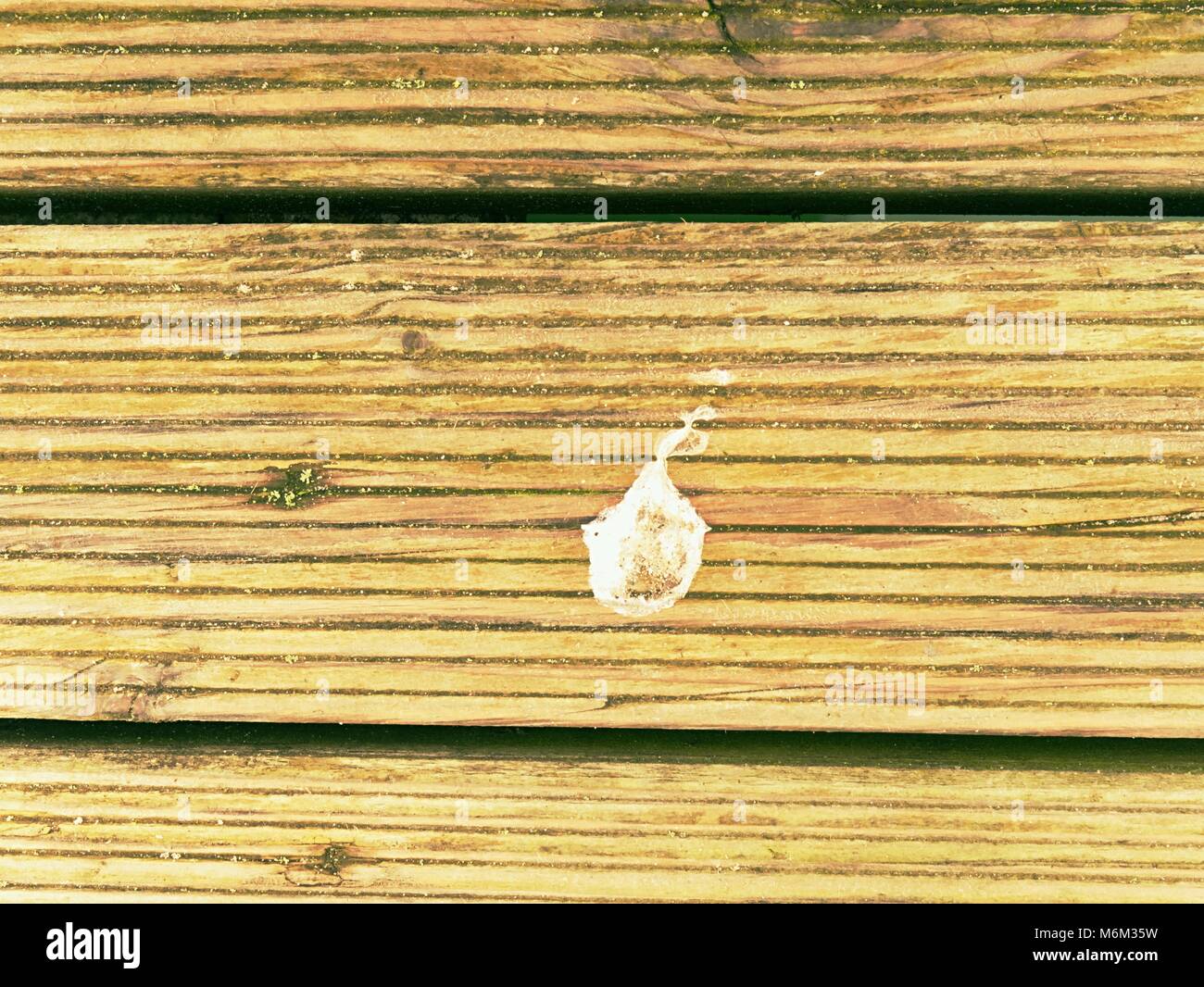 The sill wet hard wood board with weathering resists surface. Wooden ...