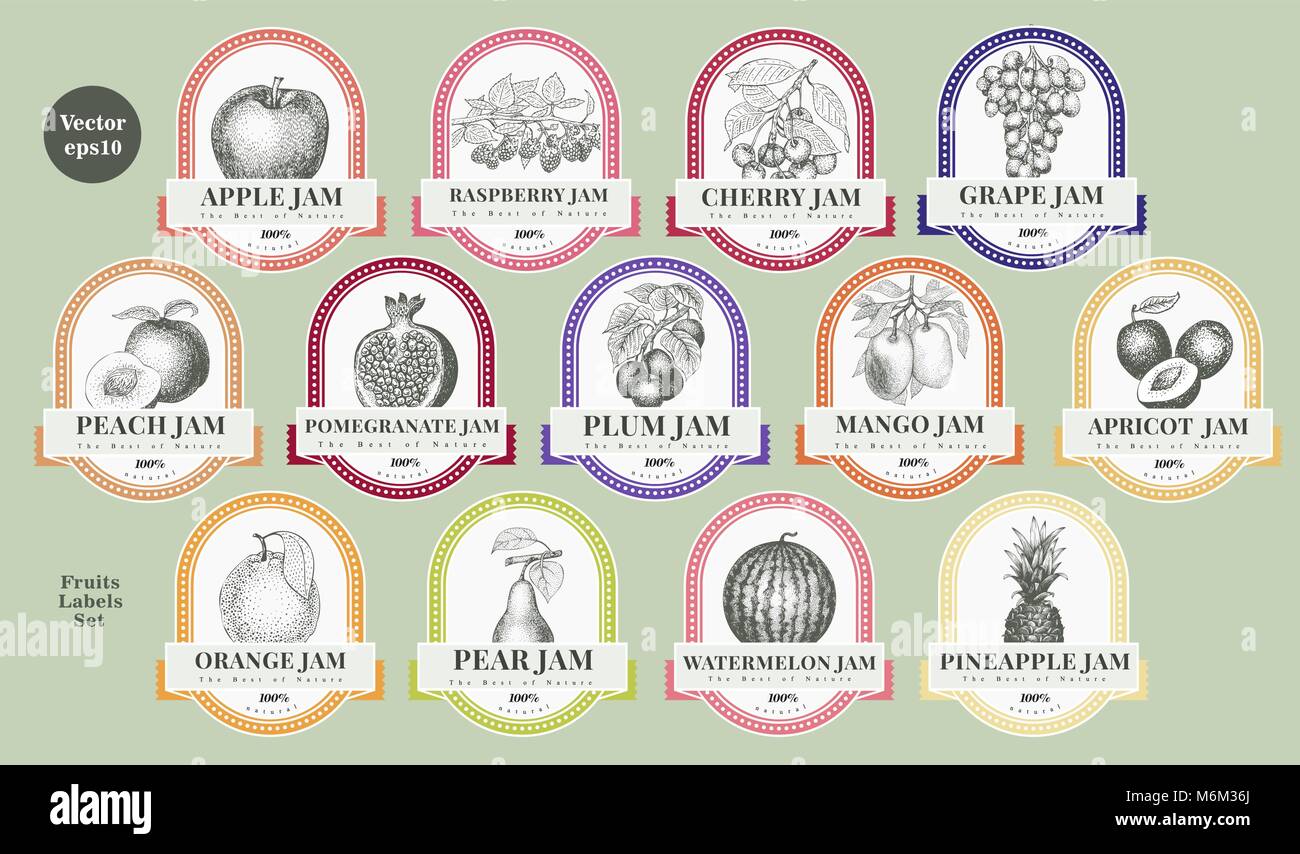 Berry and fruit labels set. Retro style design template. Hand drawn ...