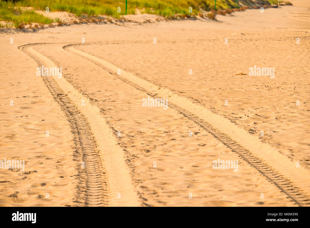 tracks of a military truck in sand Stock Photo - Alamy