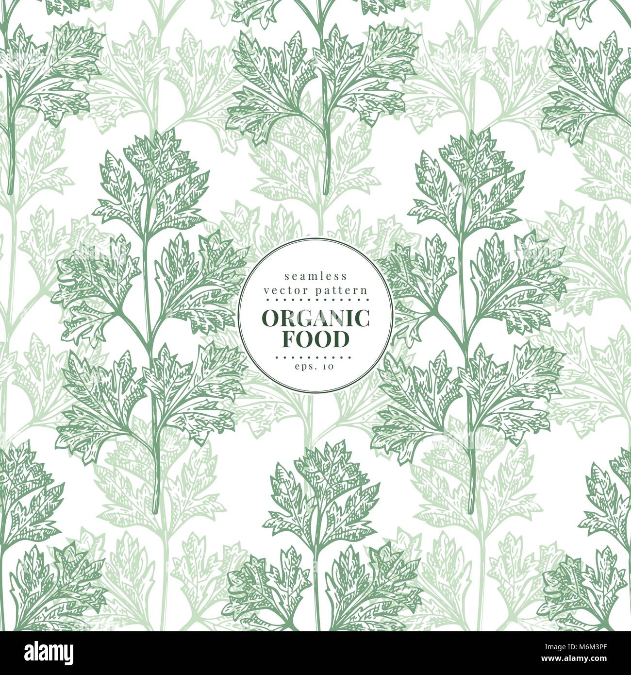 Parsley. Vector seamless pattern for design menu, packaging and recipes ...