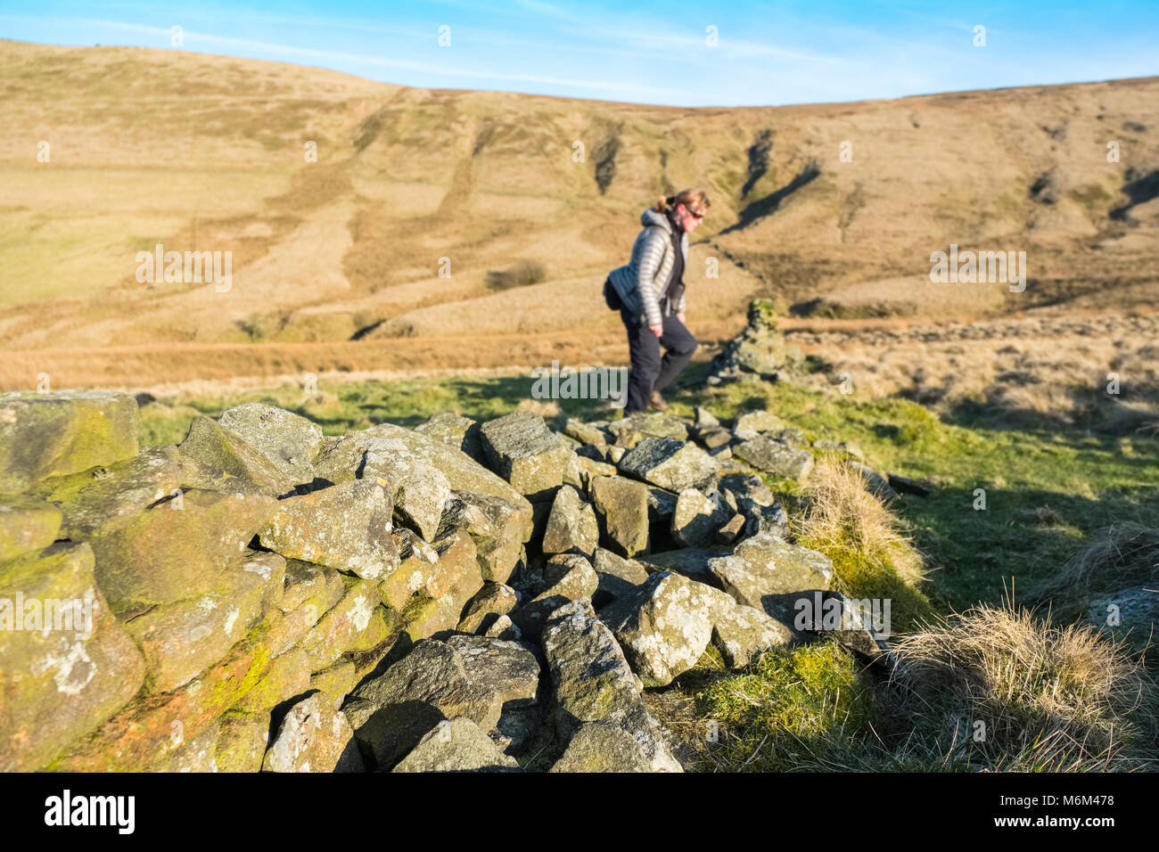 Female walker on a path in the Goyt Valley area of The Peak District ...