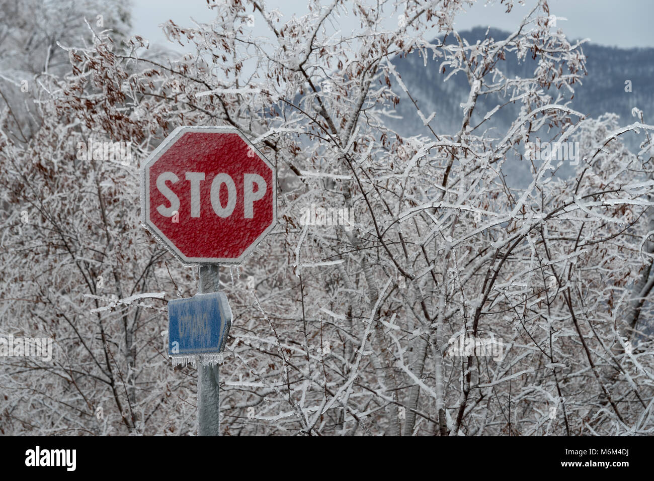 Stop sign covered in ice after the freezing rain Stock Photo - Alamy