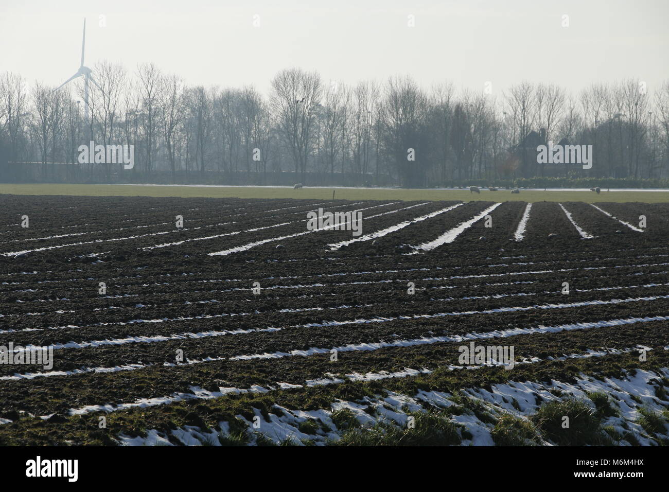 Snow in the rows of a ploughed field Stock Photo - Alamy