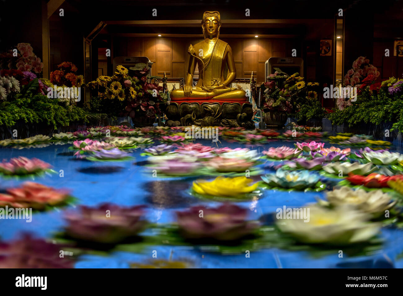 Colorful flowers floating under the golden statue of Buddha in Buddhist ...