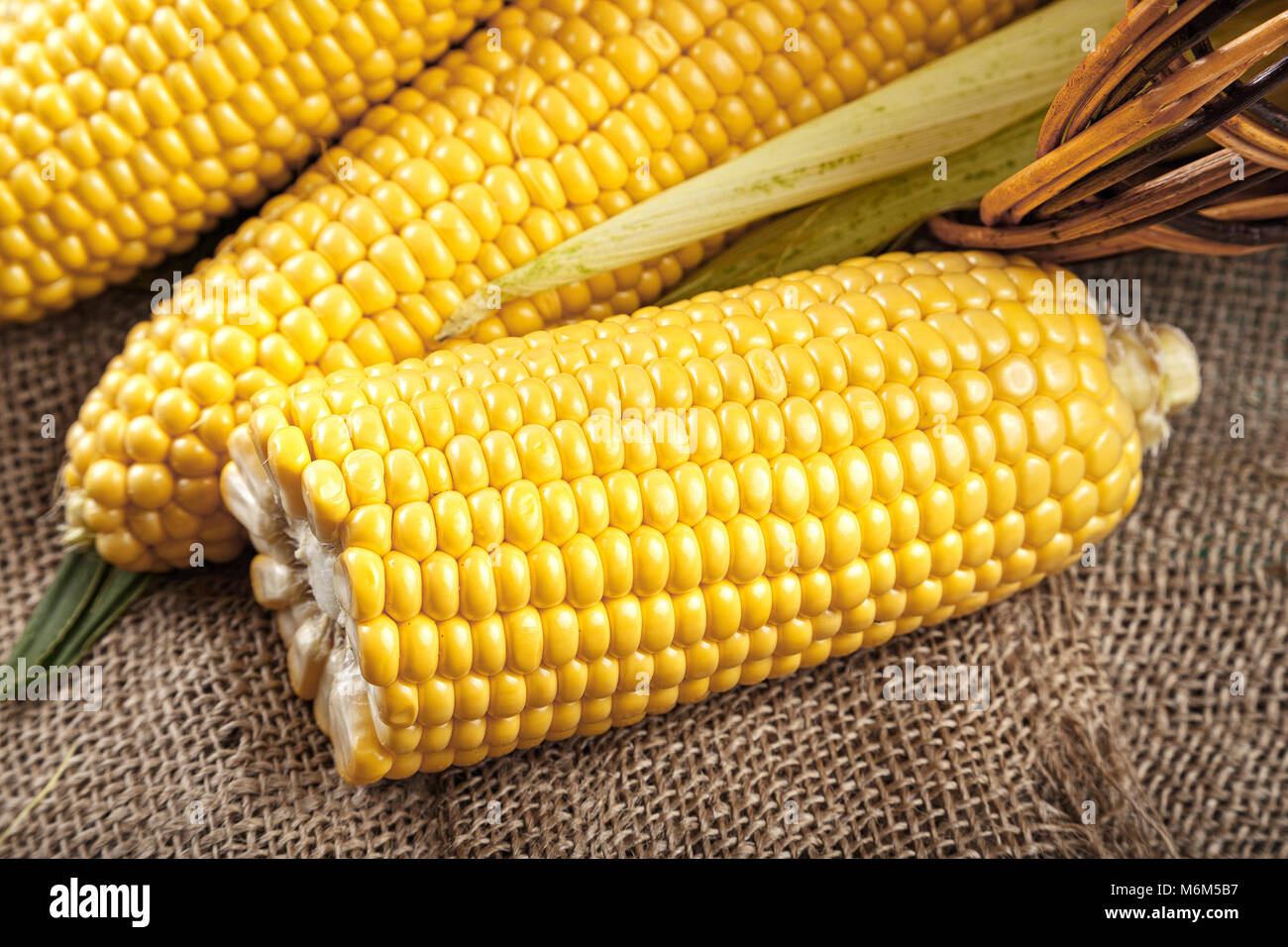 sweet corn on sackcloth, half of corn, some corn peeled, some do not ...