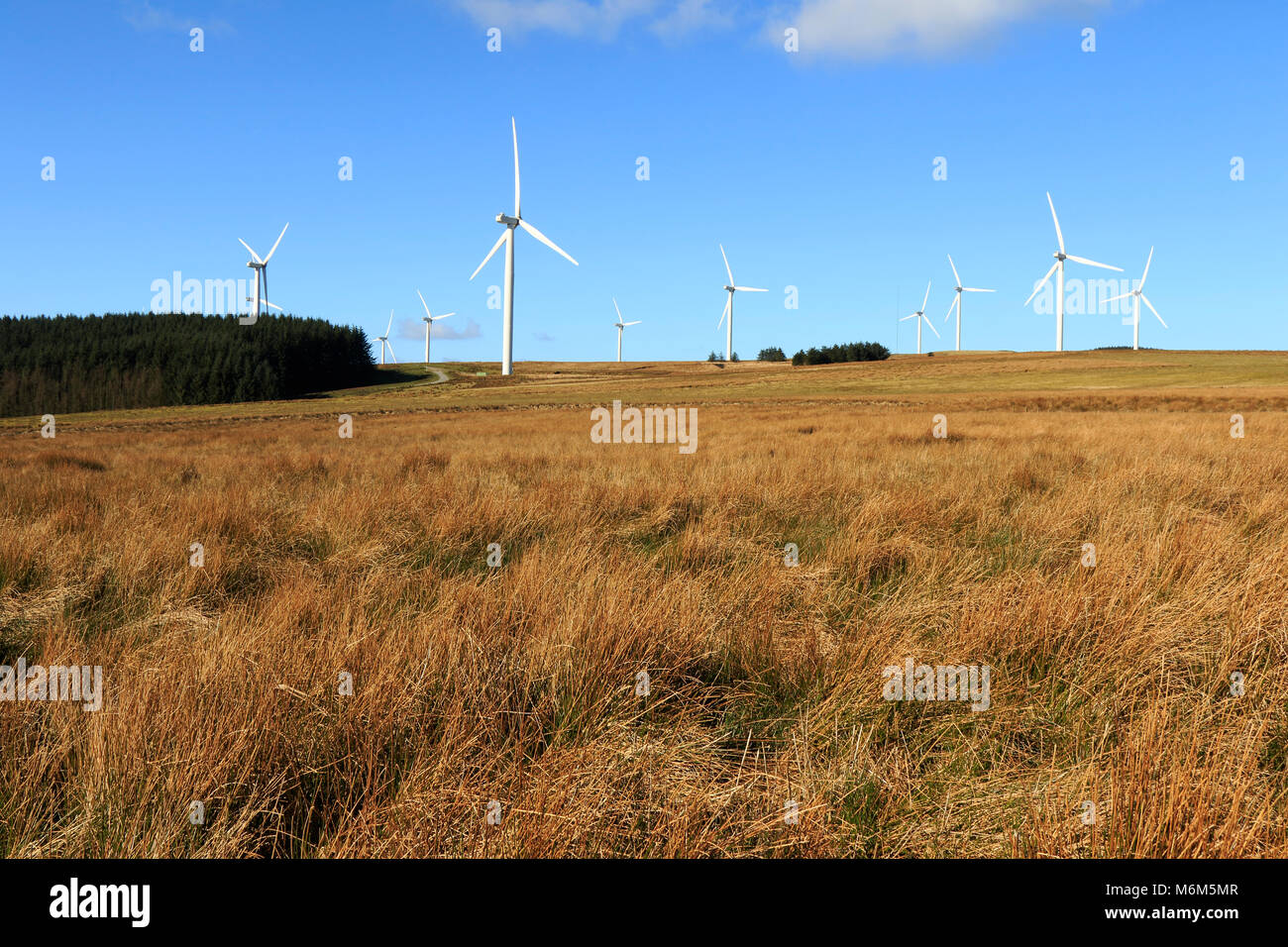 Turbines energy wales uk renewable sustainable electricity wind power ...