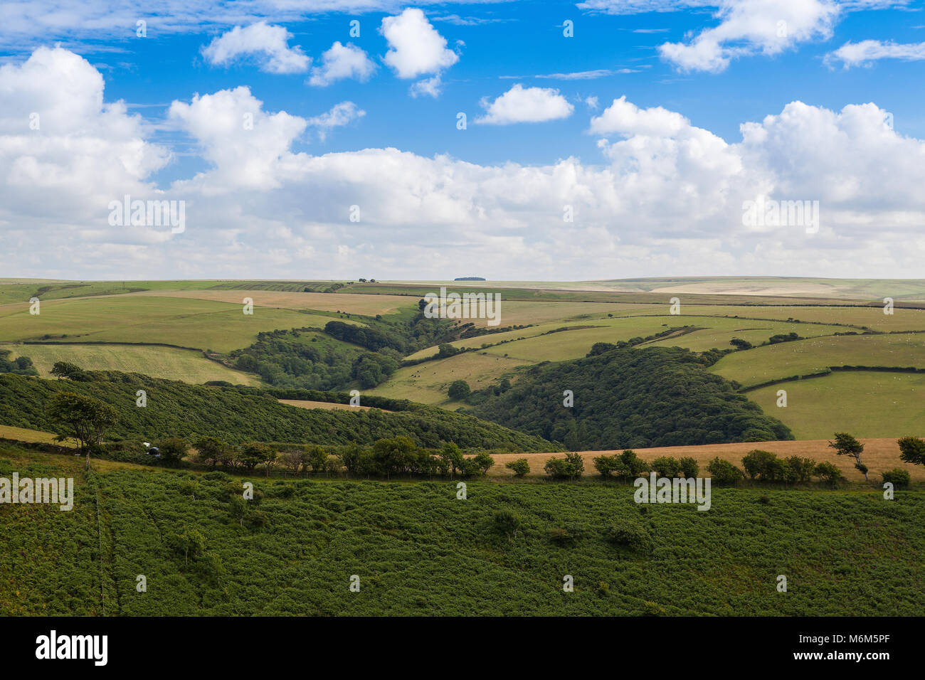 Typical landscape, pastures and fields in Devon, Great Britain Stock ...