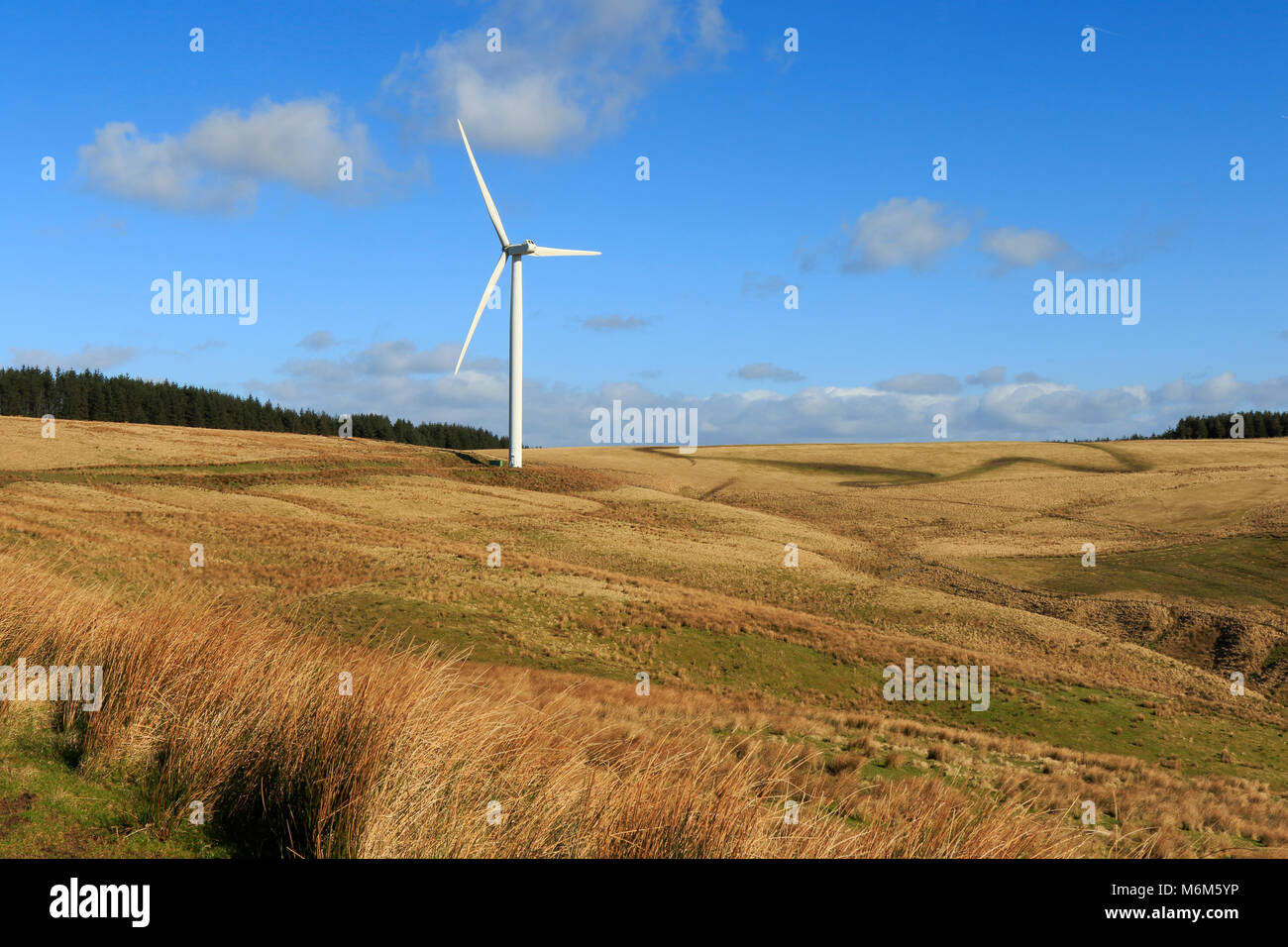 Y wal goch hi-res stock photography and images - Alamy