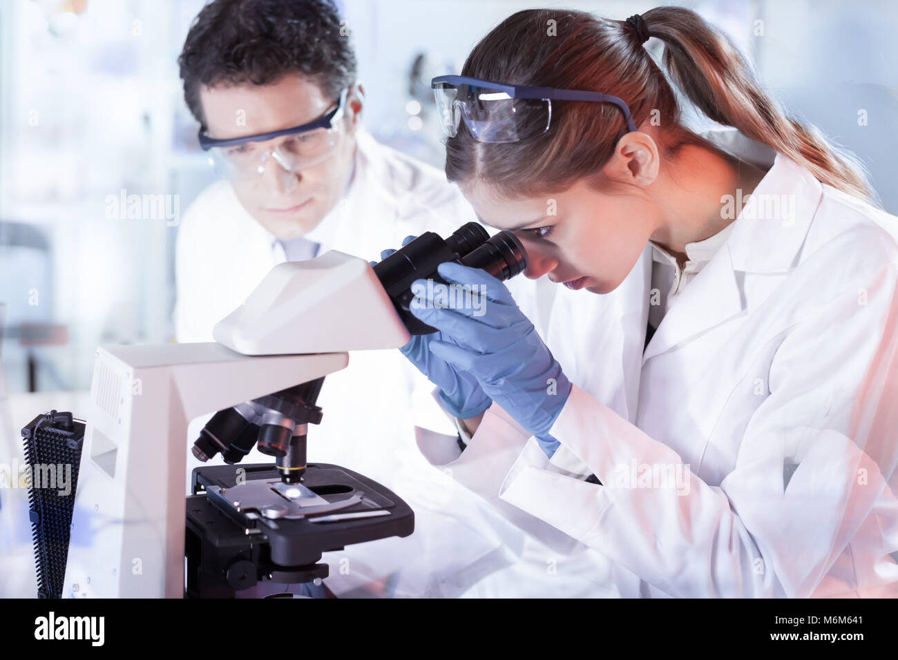 Life scientist researching in the laboratory Stock Photo - Alamy
