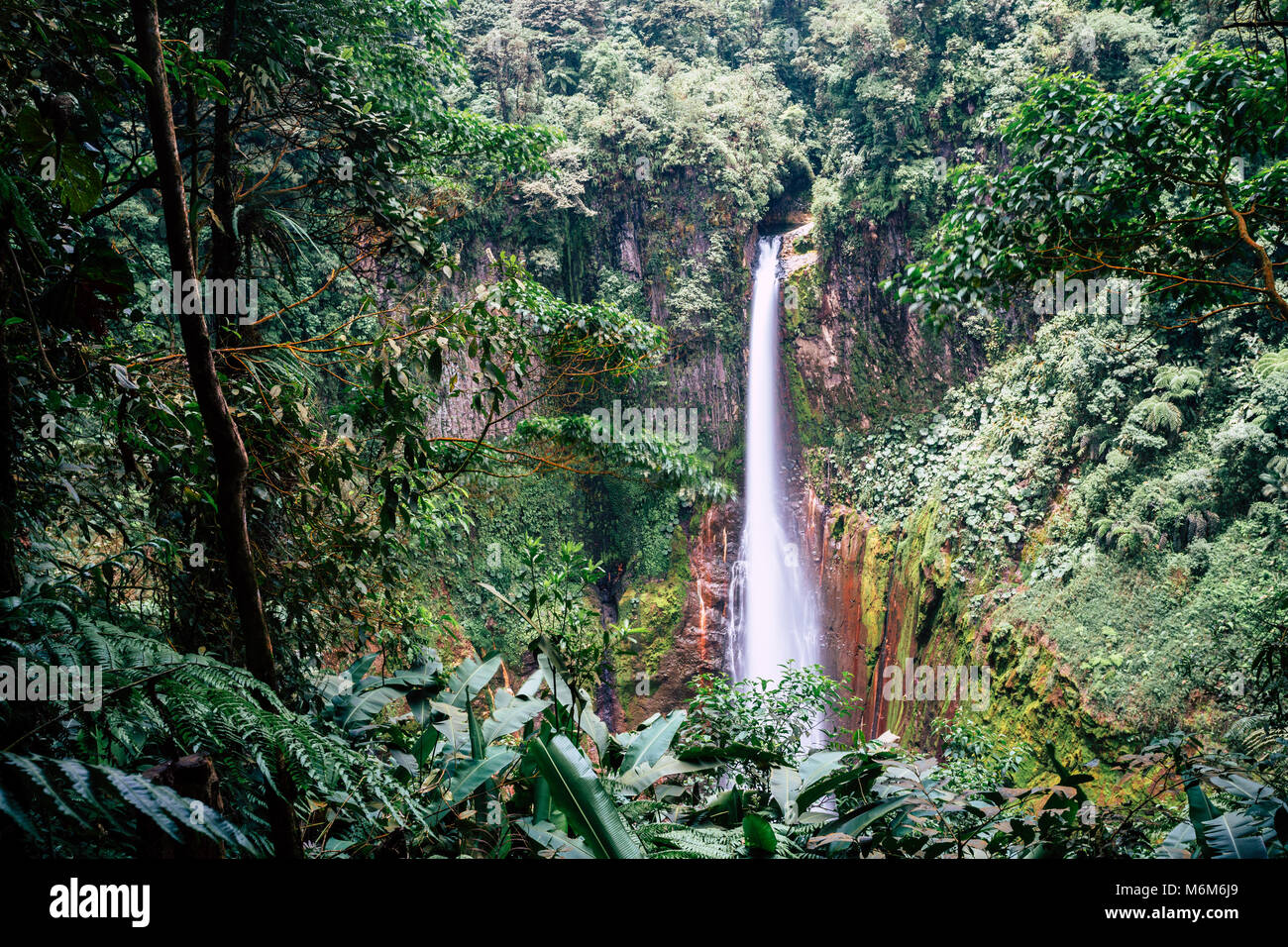 Catarata del Toro, waterfall in the rain forest, Costa Rica Stock Photo ...