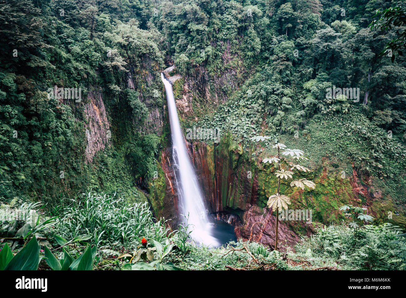 Catarata del Toro, waterfall in the rain forest, Costa Rica Stock Photo ...