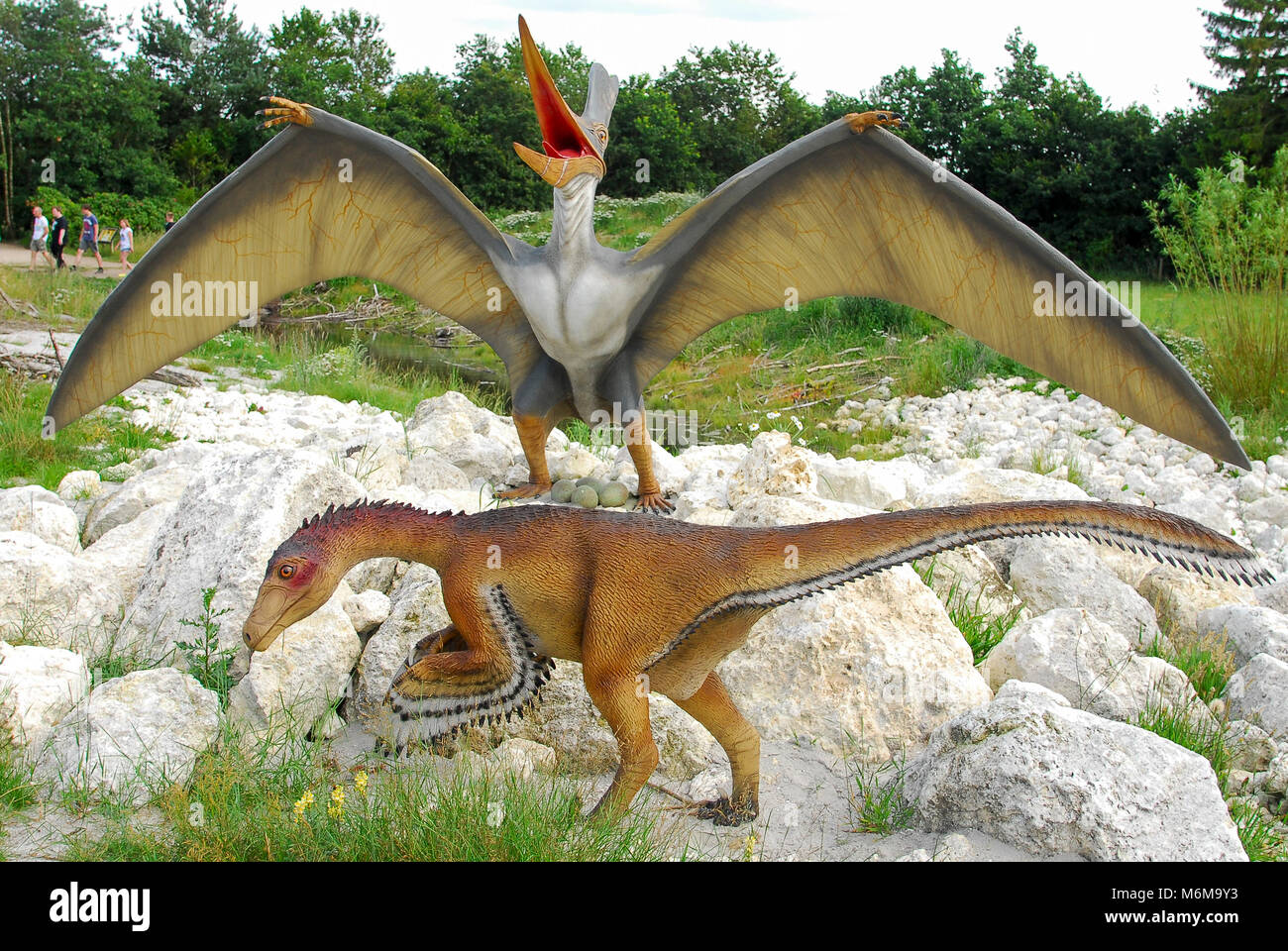 Pteranodon Size Comparison