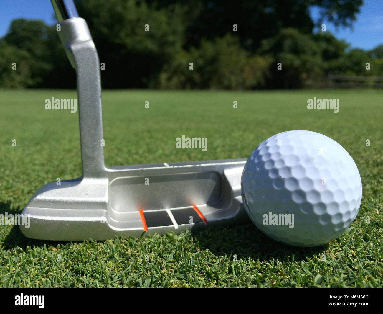 Generic white golf ball and iron putter line up on the green grass of a ...