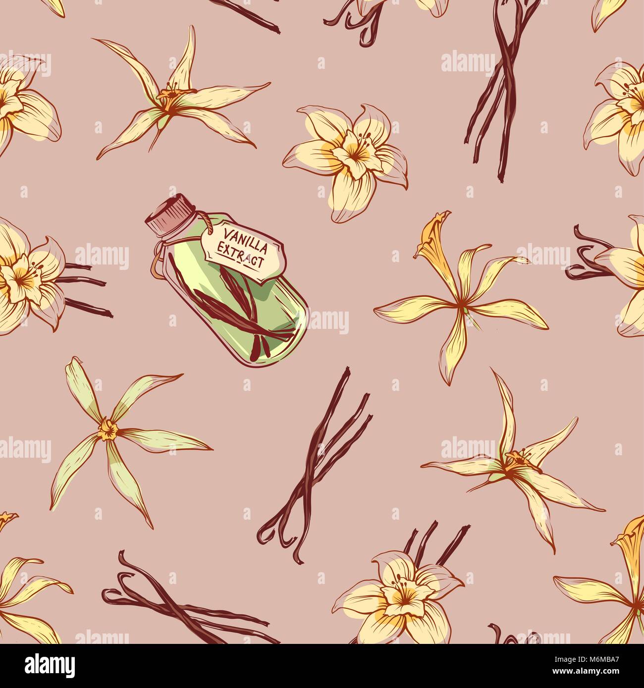 Natural vanilla spice seamless pattern Stock Vector Image & Art - Alamy