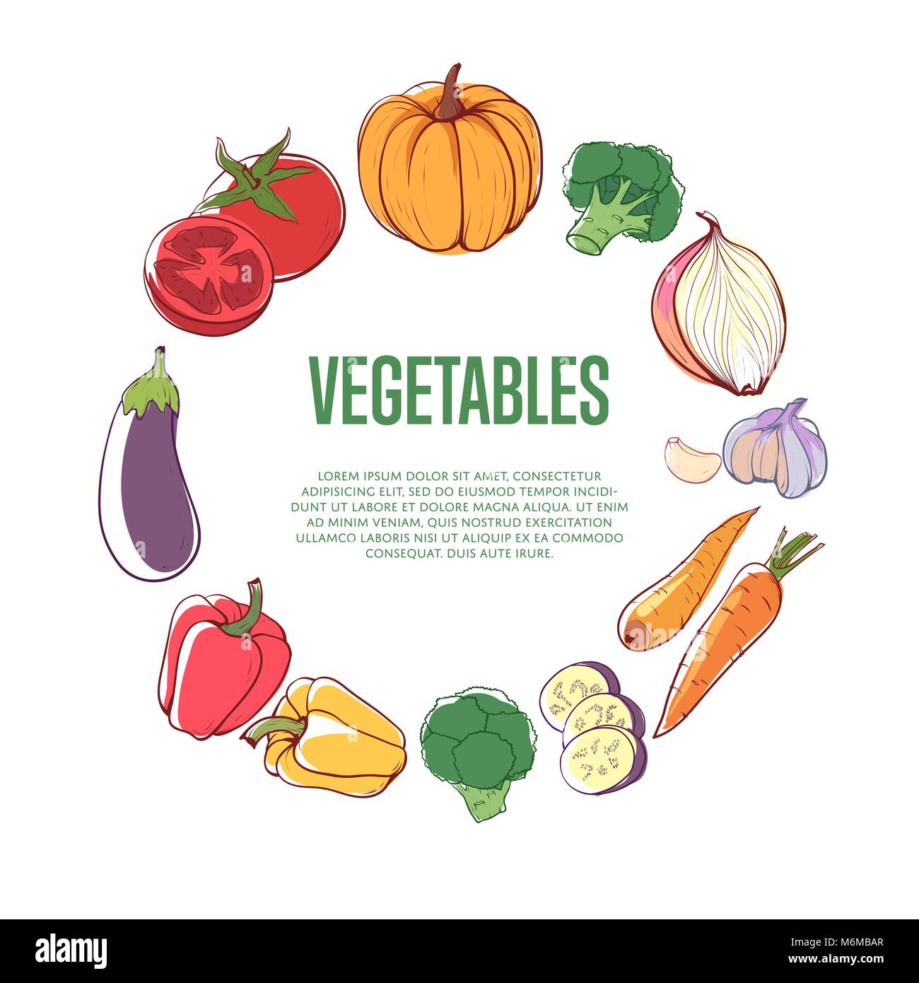Fresh vegetables round vector concept Stock Vector Image & Art - Alamy